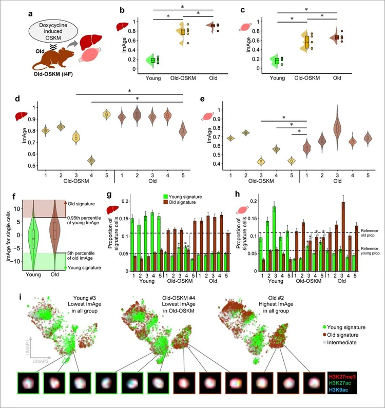 Transforming Imaging — The Scintillon Research Institute