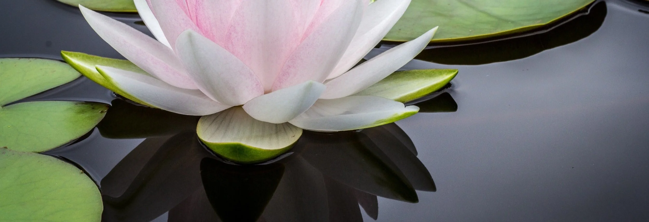 HOCATT Ozone Therapy — Natural Health Improvement Center