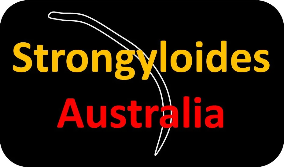 Stronglyoides Australia: Dedicated to eliminating strongyloidiasis in ...