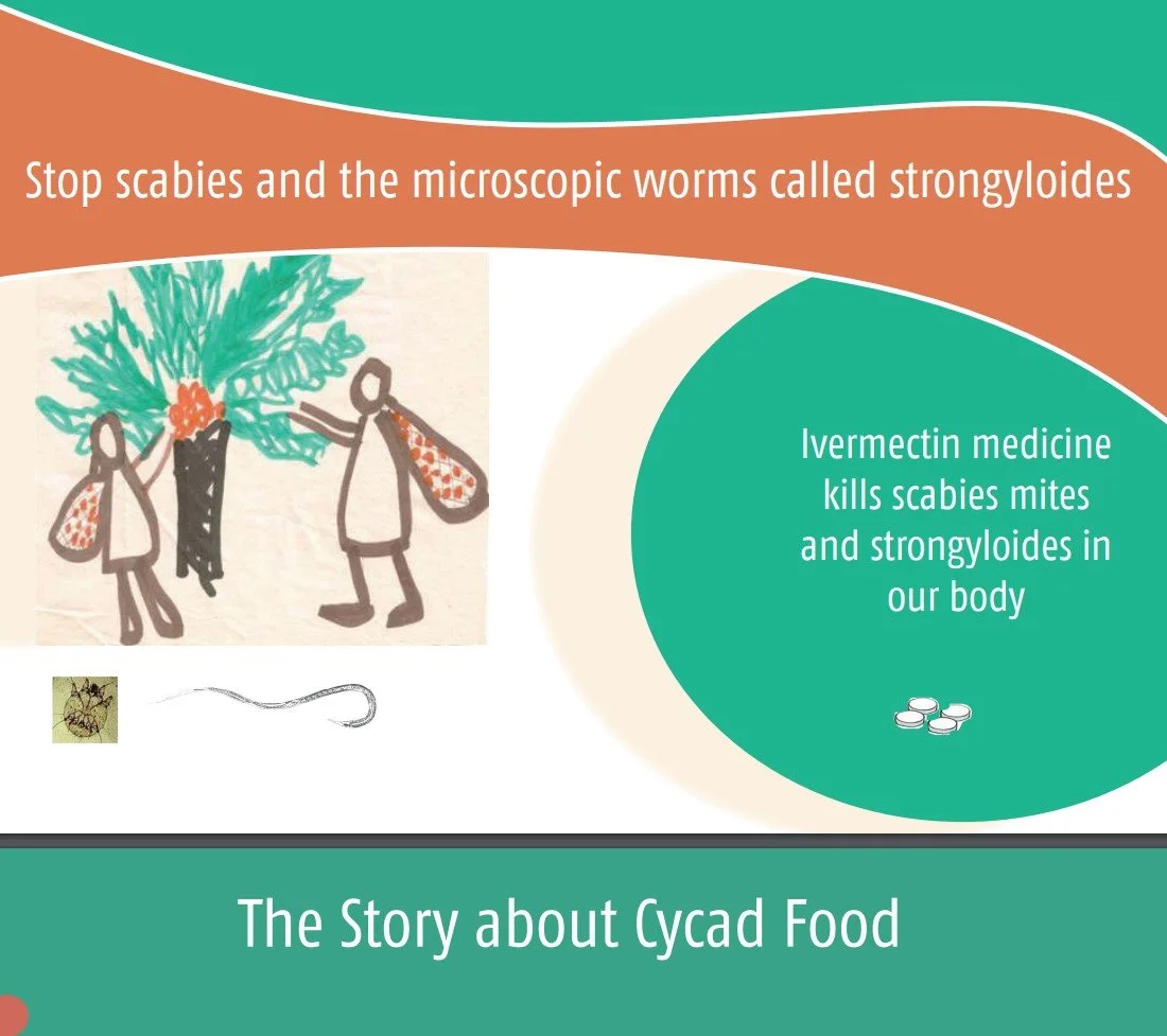 Stronglyoides Australia: Dedicated to eliminating strongyloidiasis in ...