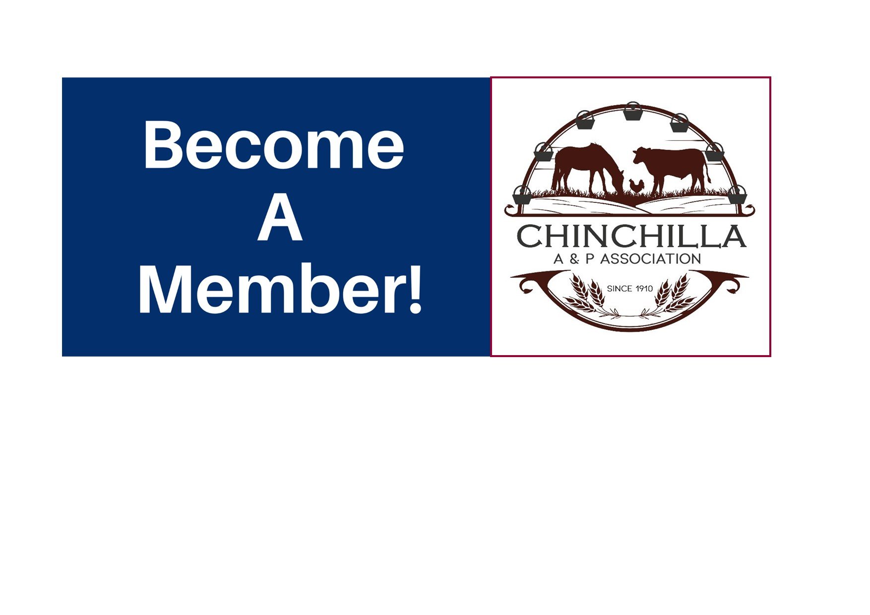 Chinchilla A&P Association