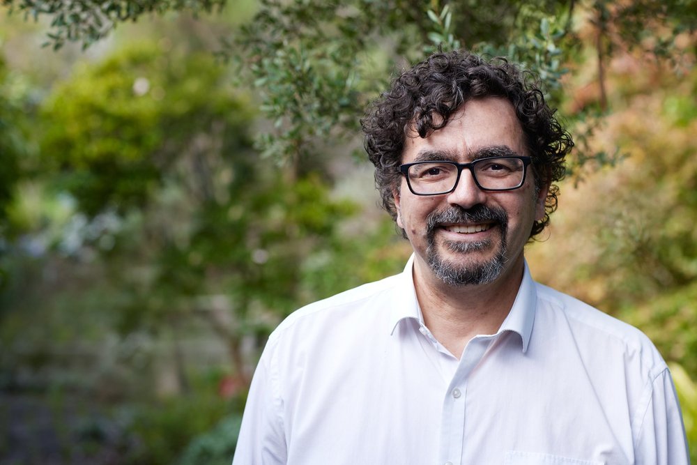 Greg Russo Law — Greg Russo Law