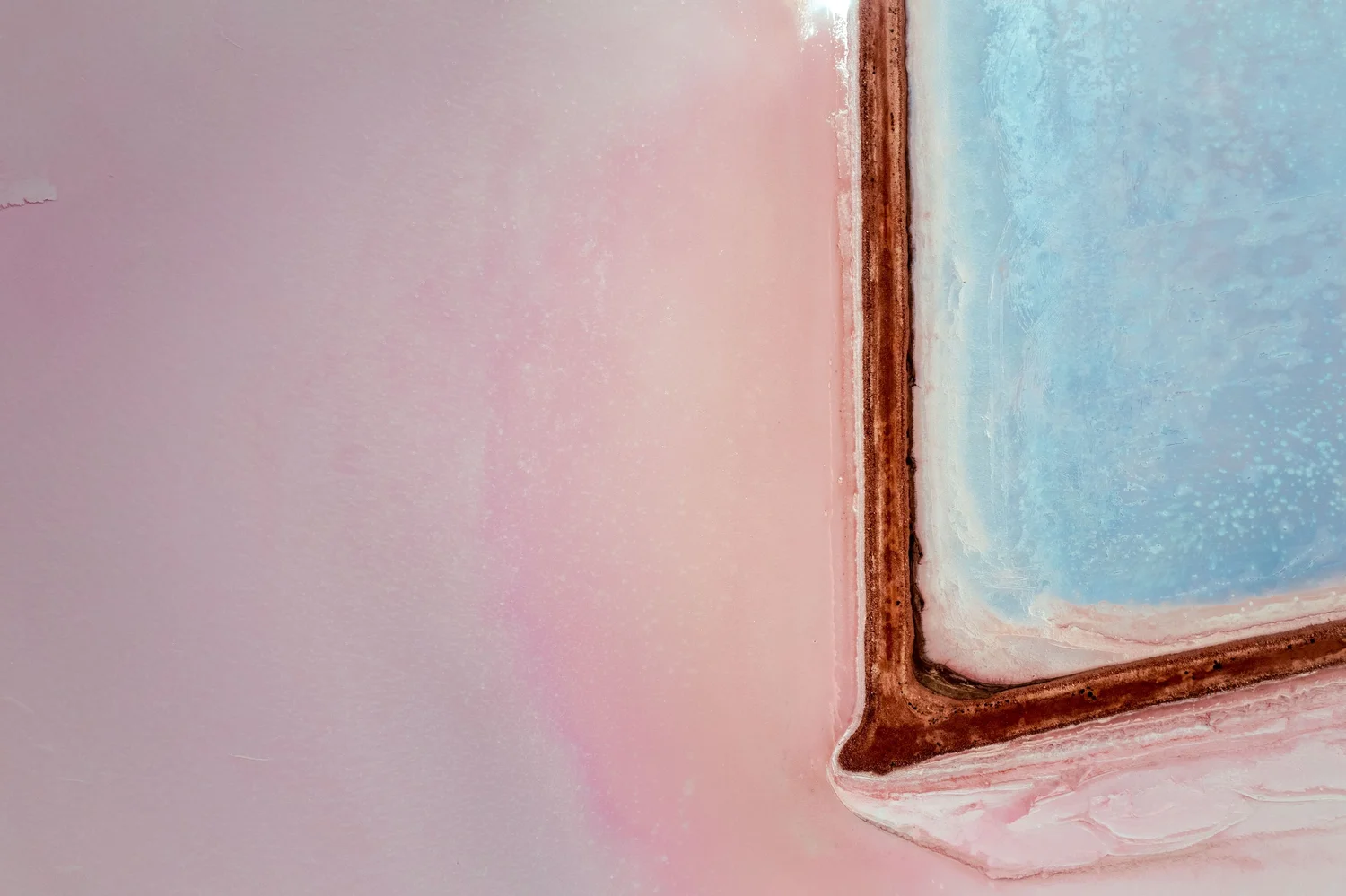 Online Gallery — Tim Roberts Photography