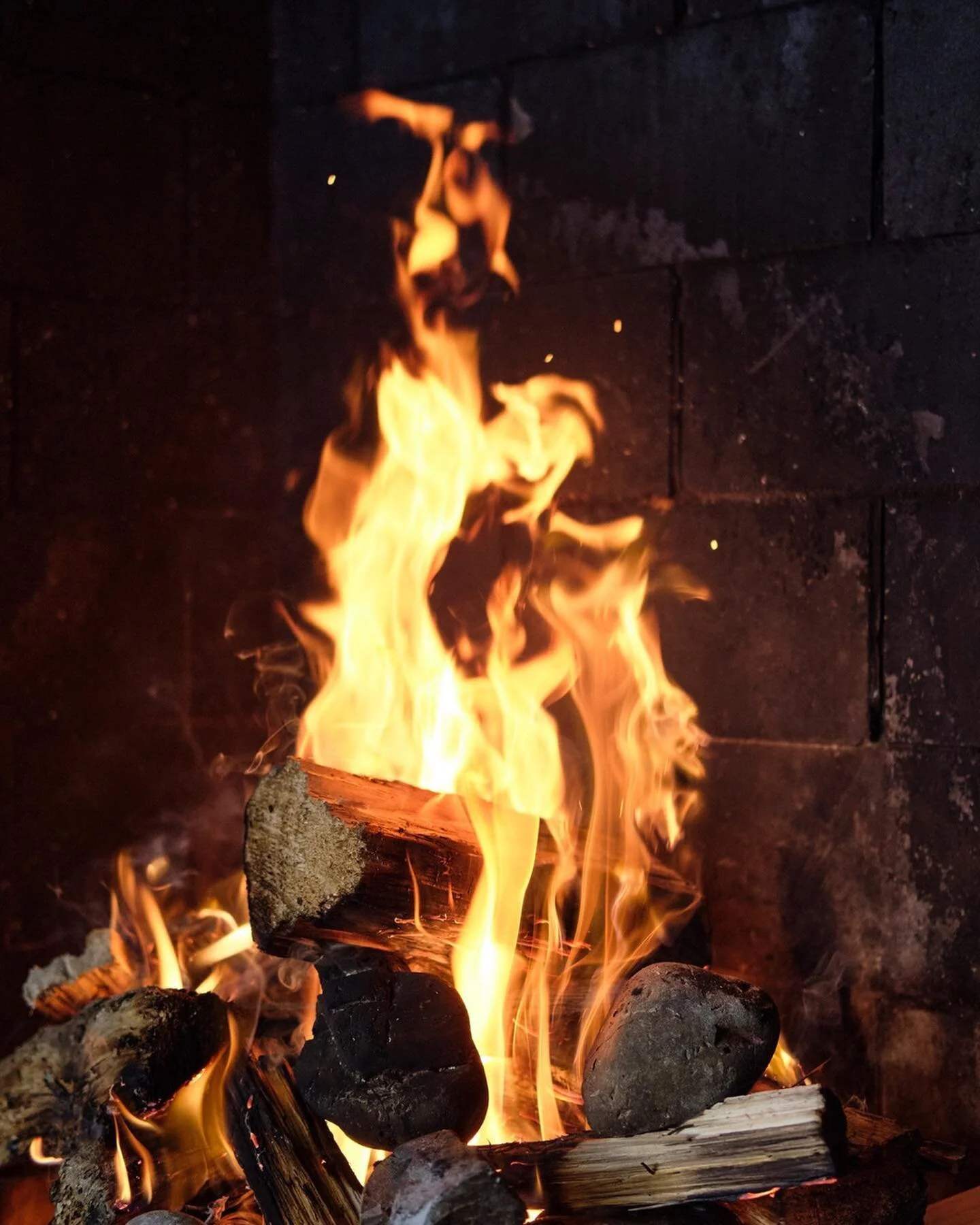 Menu - Tala — Tala