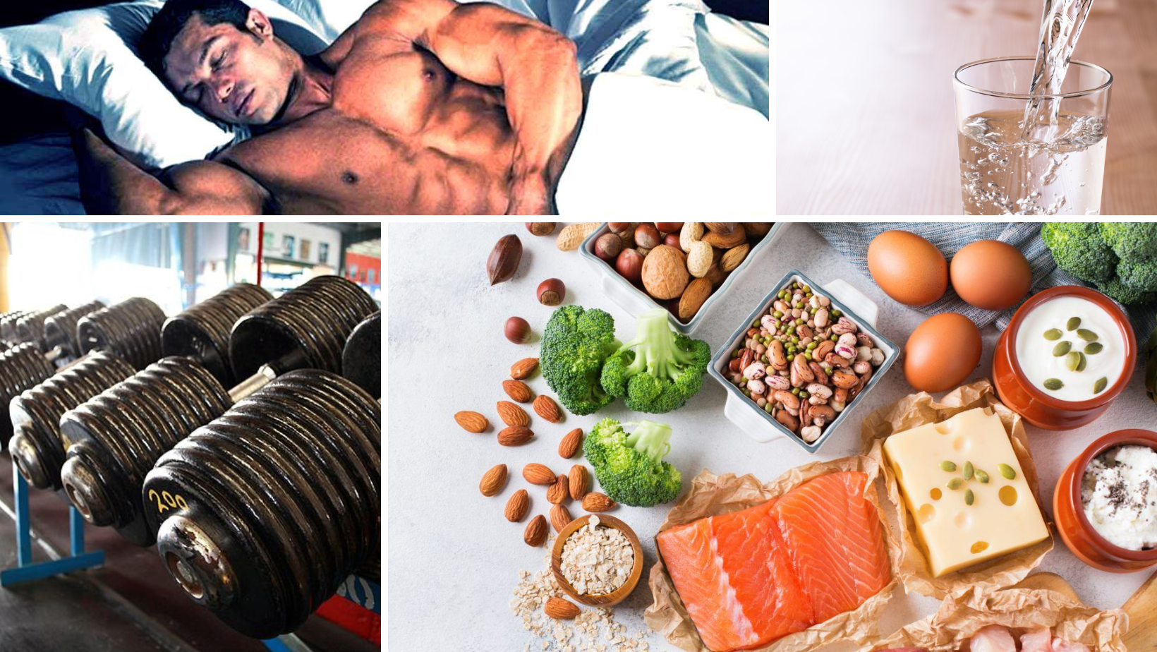 10 Proven Tips for Rapid Muscle Growth: A Comprehensive Guide to ...