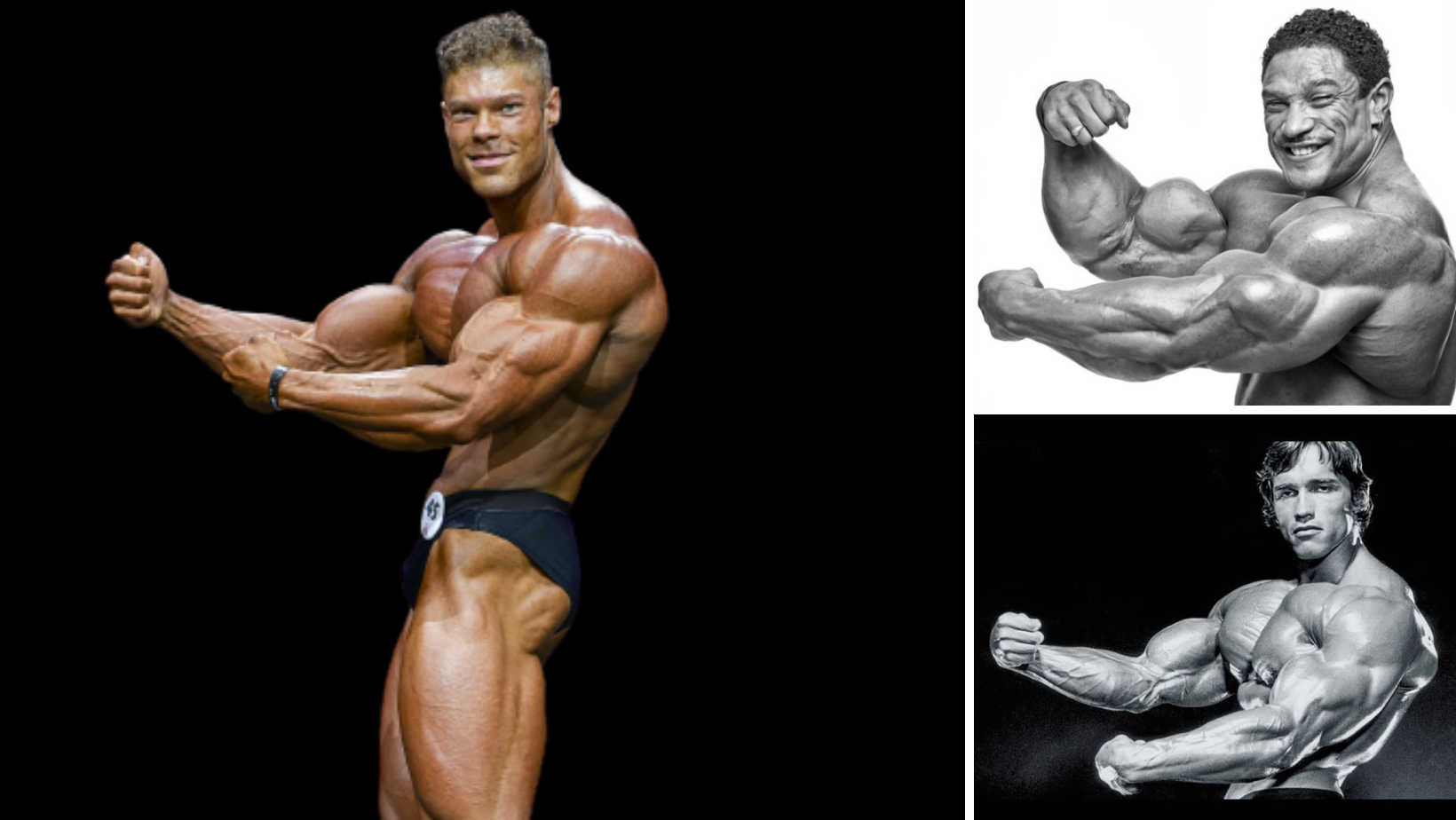 Mastering Bodybuilding Poses: A Comprehensive Guide to 19 Classic Poses for Maximum Impact — Gym ...