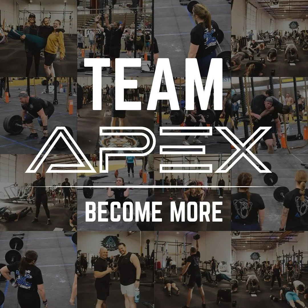 Apex Training NV