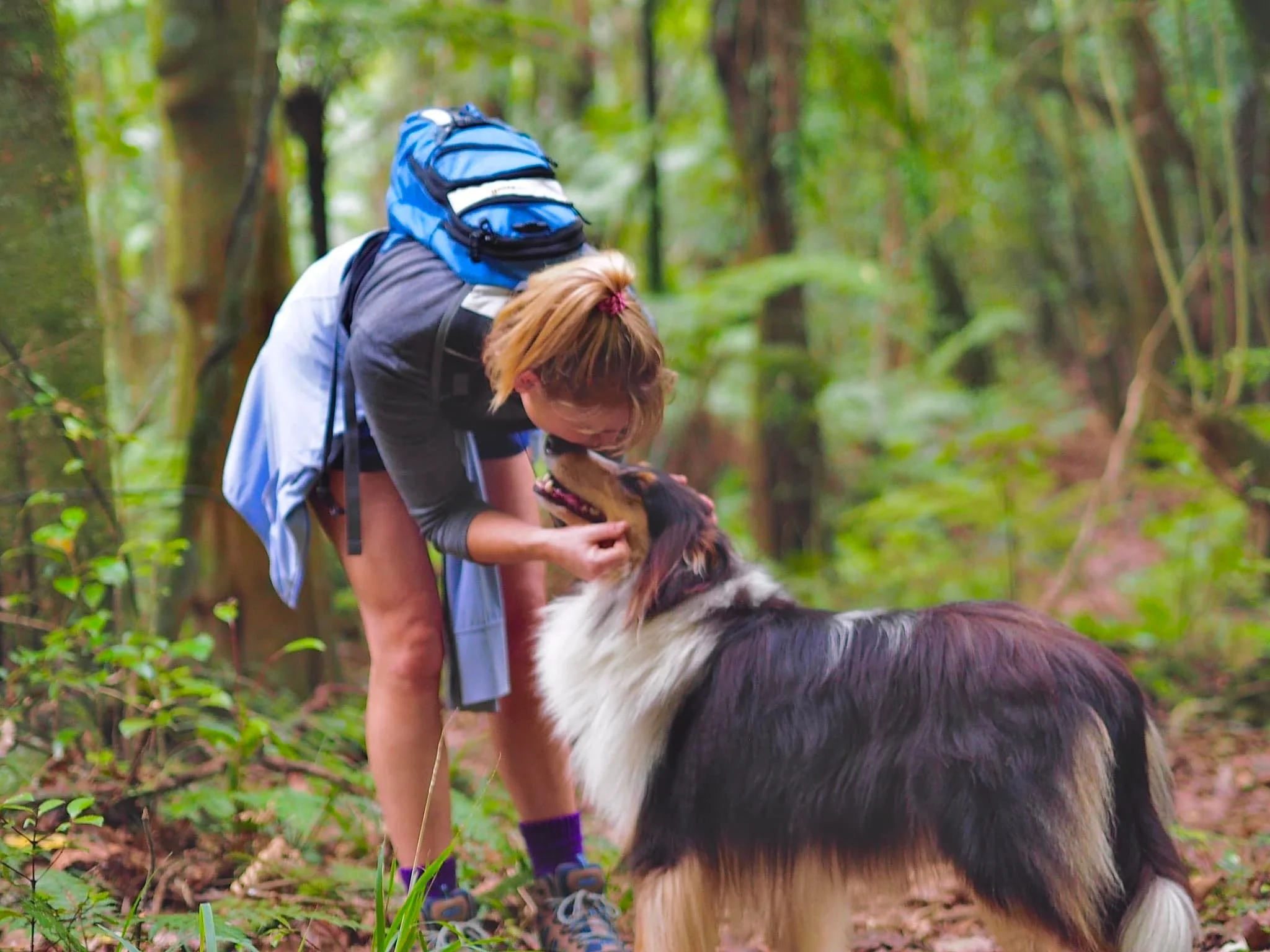 About The Local Osteo — The Local Osteo