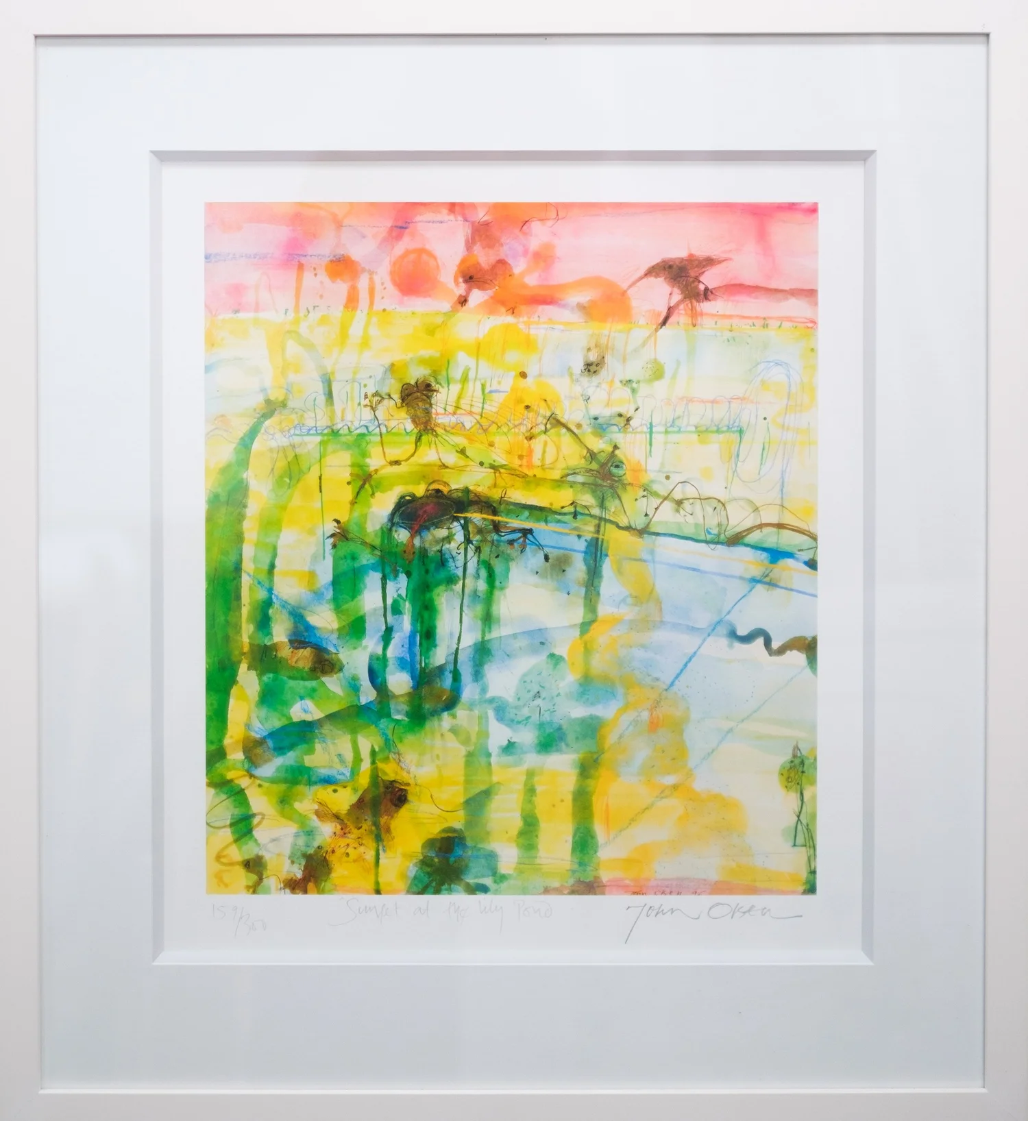 John Olsen Limited Edition Prints — Studio Craft: Custom Picture ...
