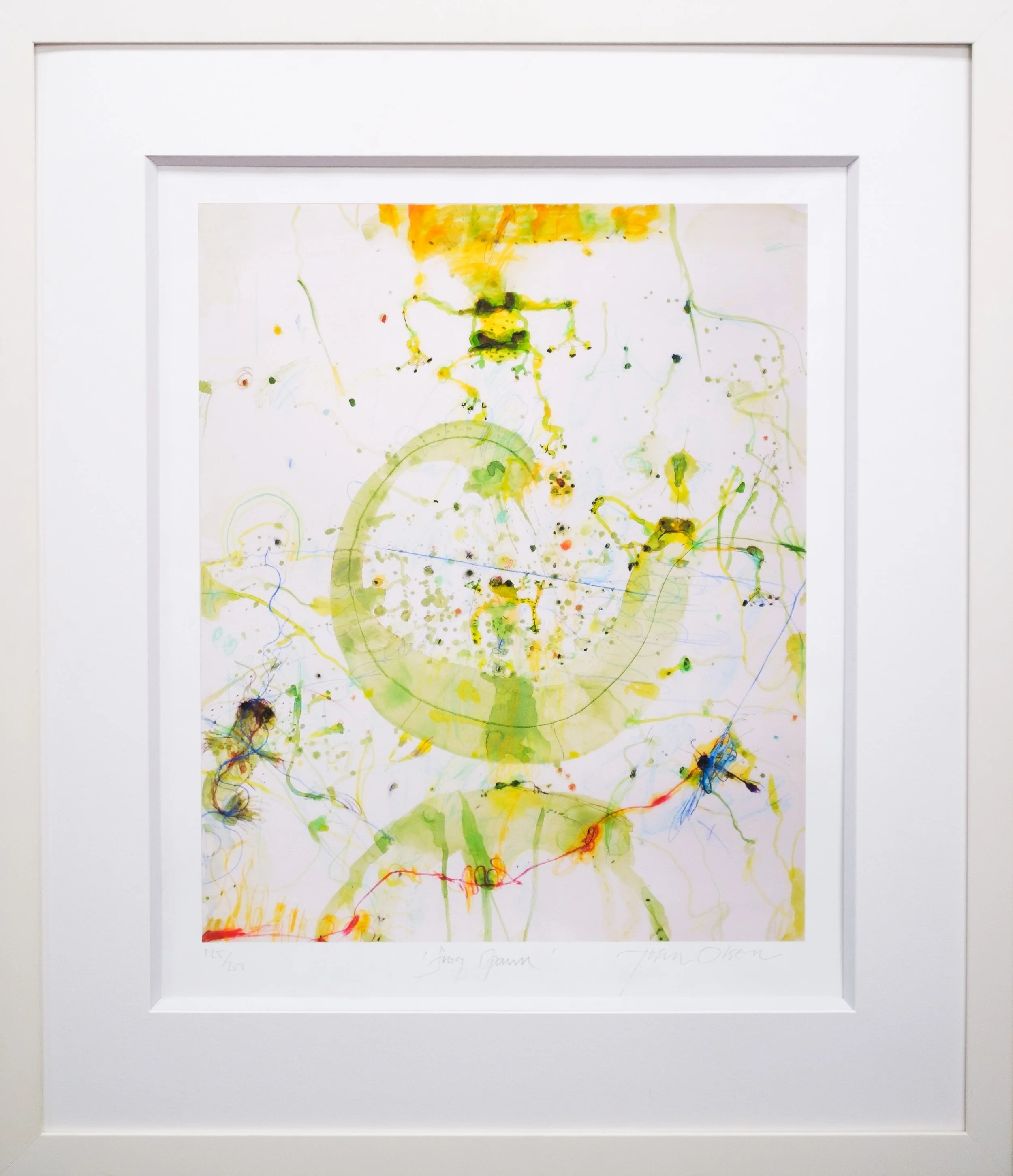 John Olsen Limited Edition Prints — Studio Craft: Custom Picture ...