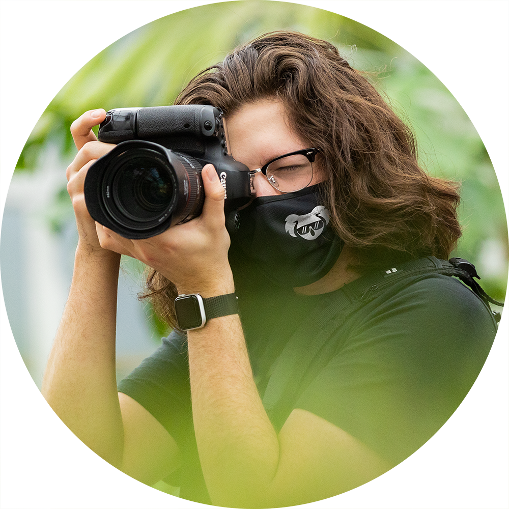 Who We Are — Cool Koala Creative