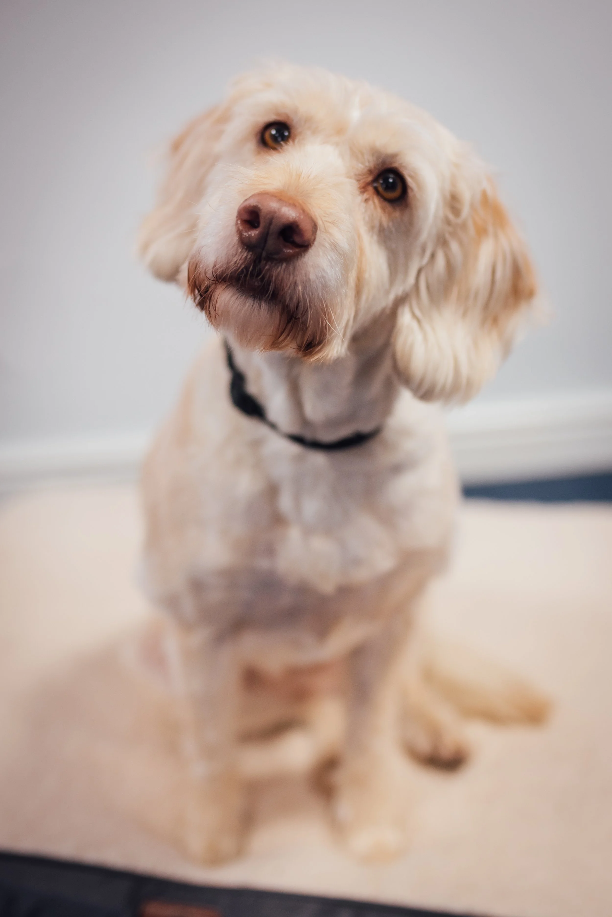 About — Front Row Group