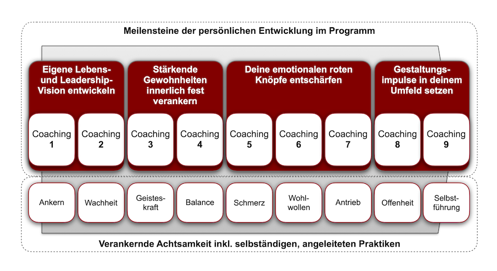 Das Coaching-Programm für erfahrene Führungskräfte — Wise Work