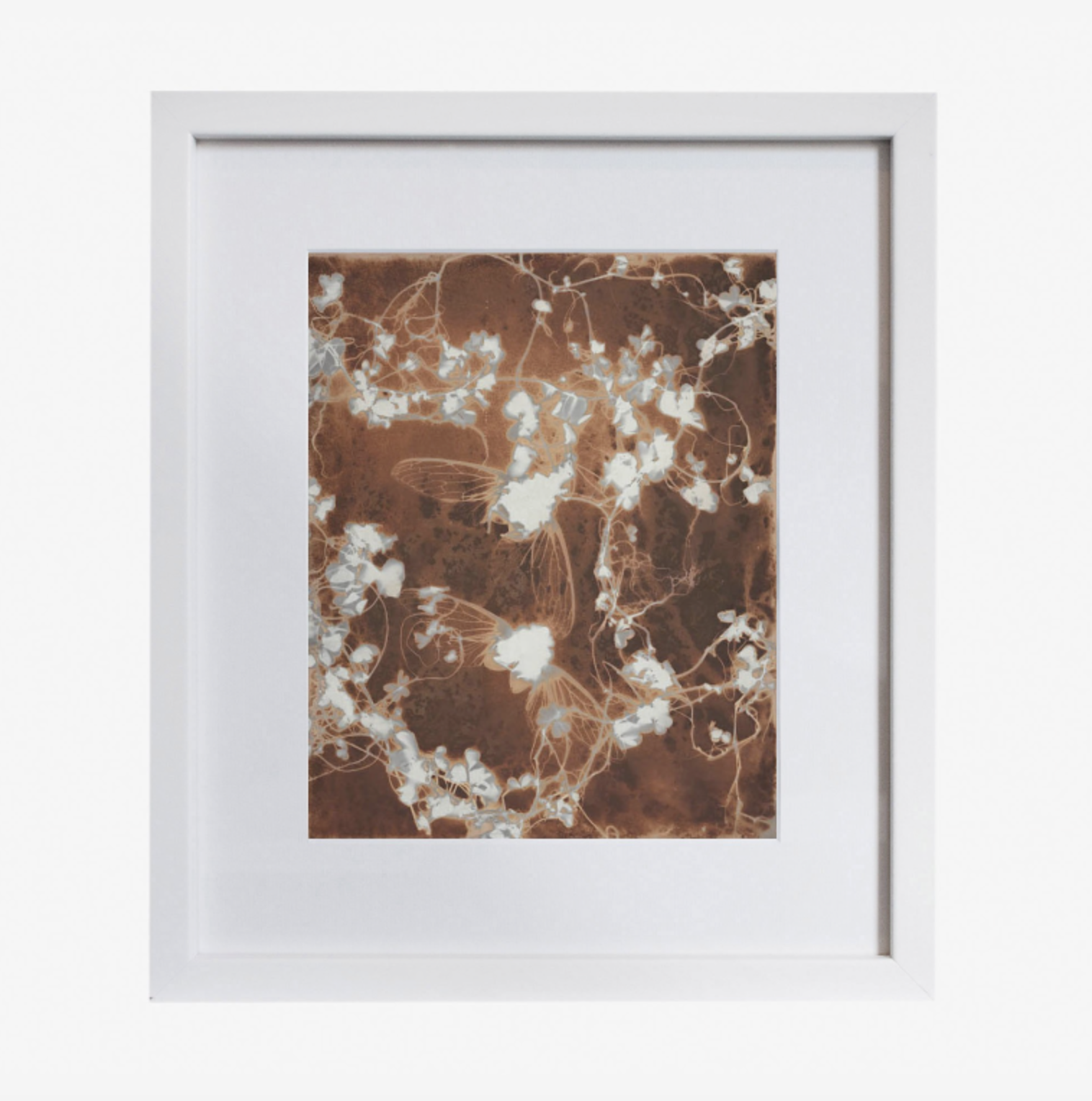 Store — Holly Schulte