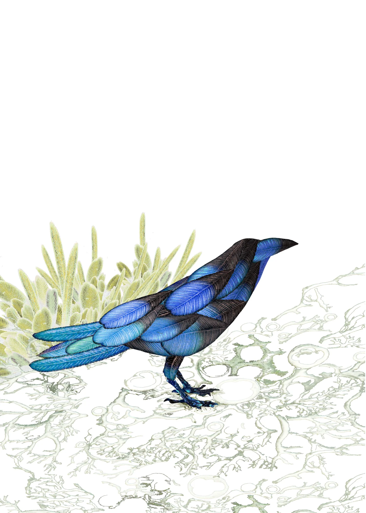 Art Prints — Jan Martin Illustration