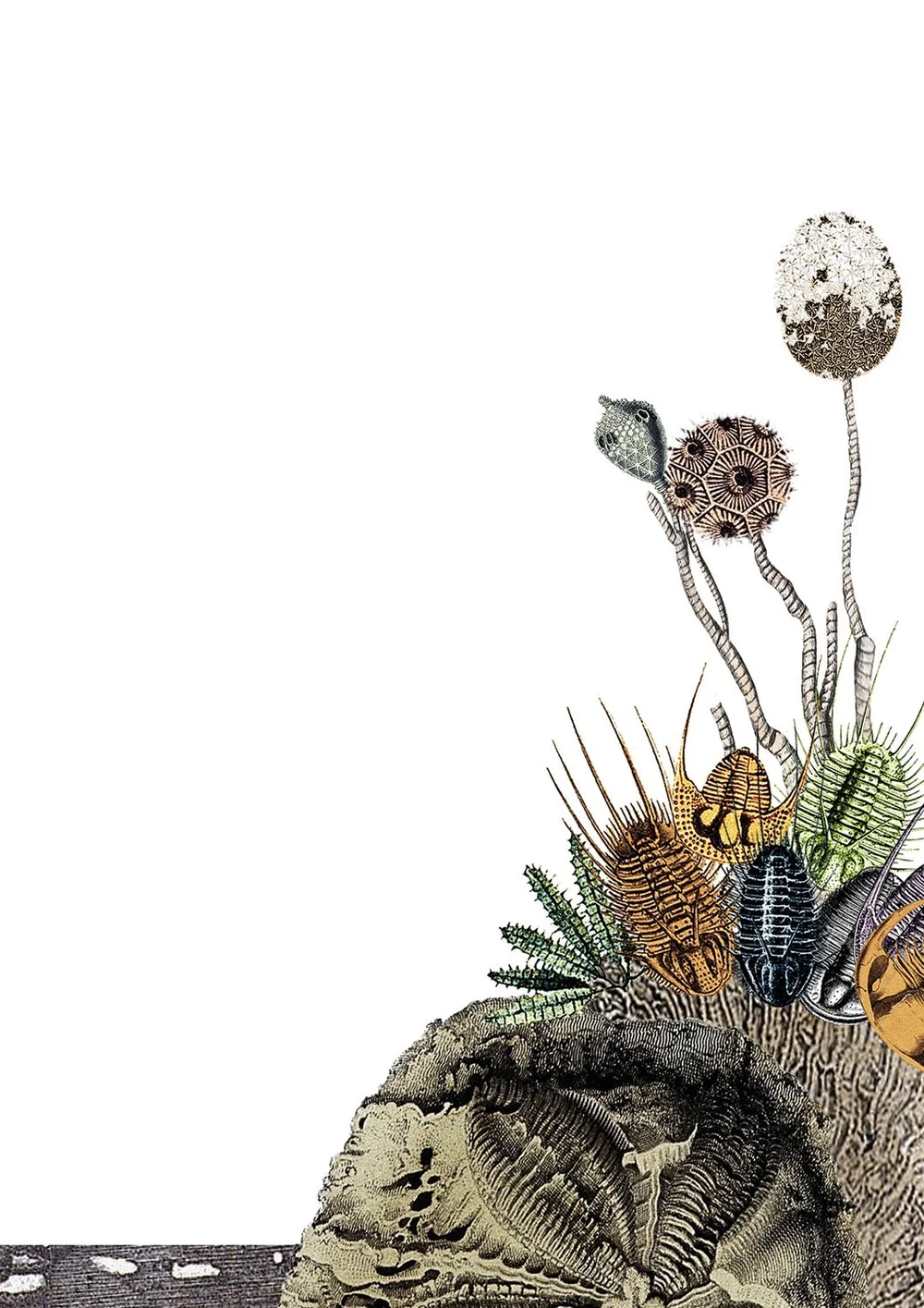 Art Prints — Jan Martin Illustration