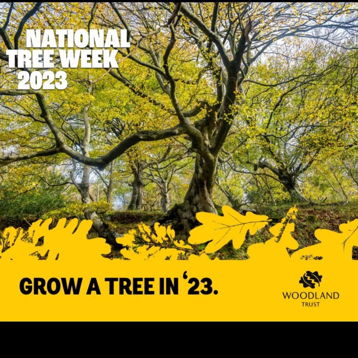 Zenith Print & Packaging