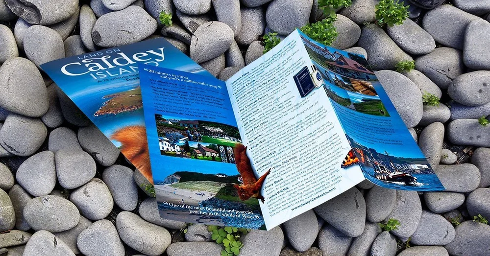 Our Products | Explore Our Offerings — Zenith Print & Packaging