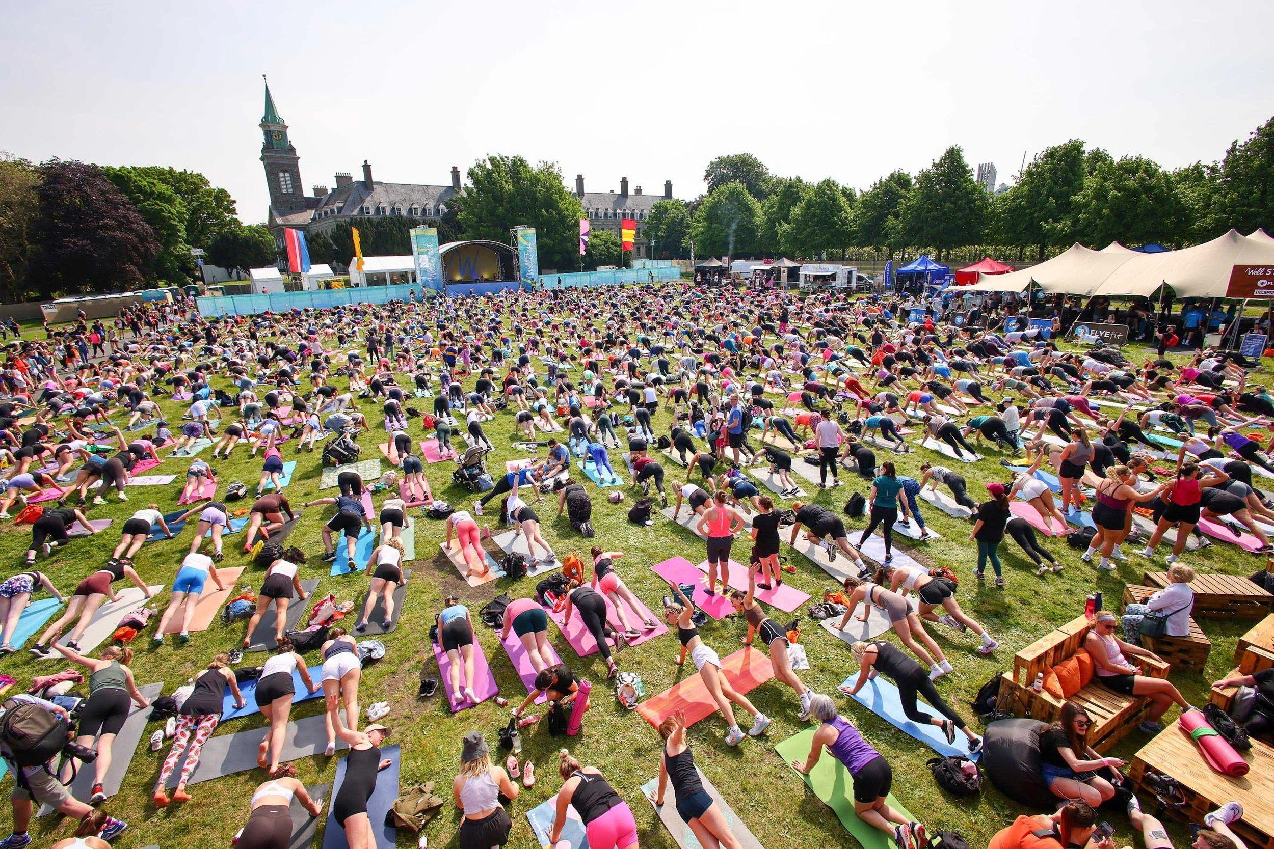 First Headliners of WellFest 2025 Have Officially Been Revealed ...