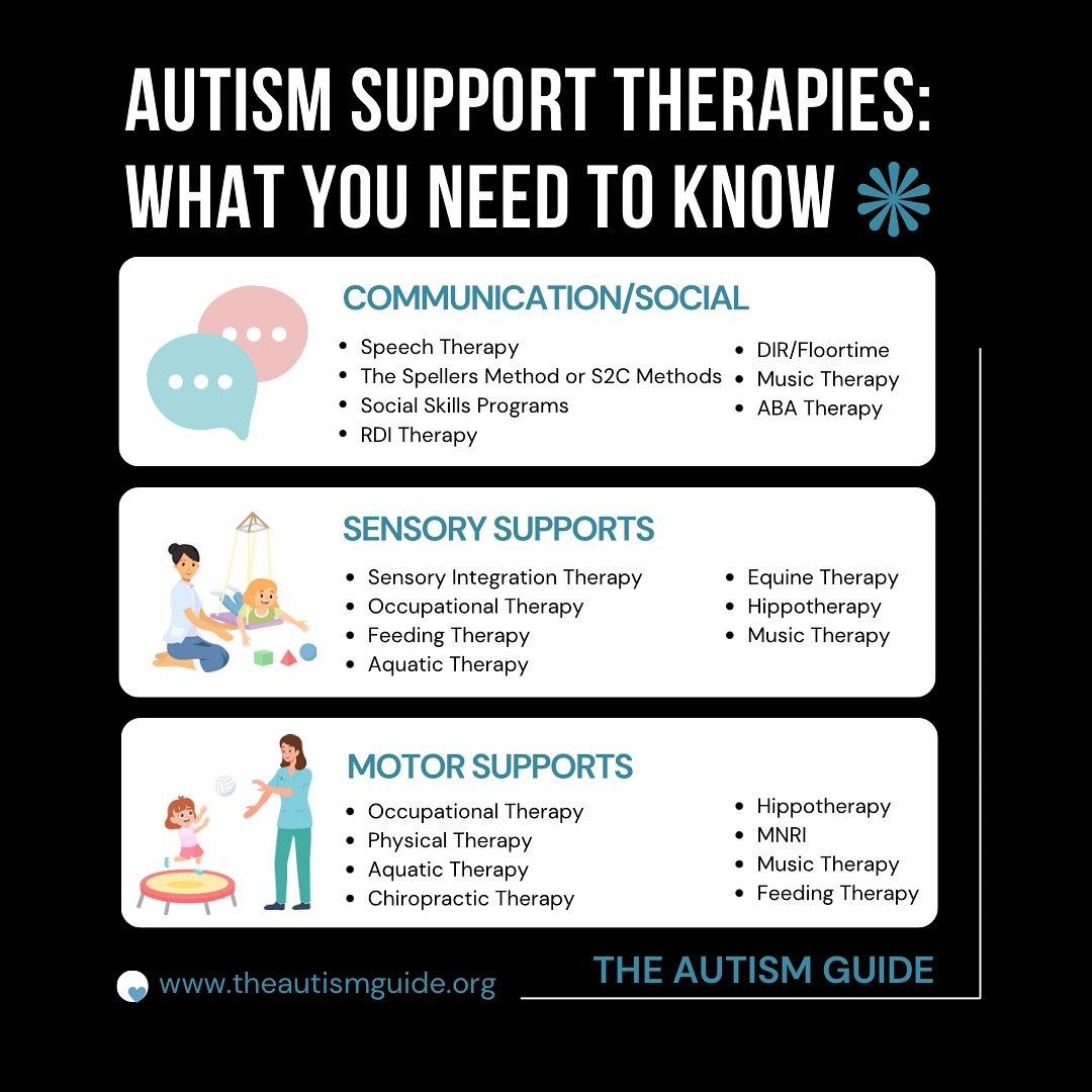 THE AUTISM GUIDE