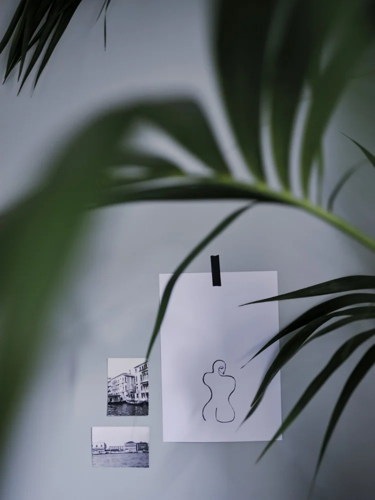 Casa Flora — REVERIA