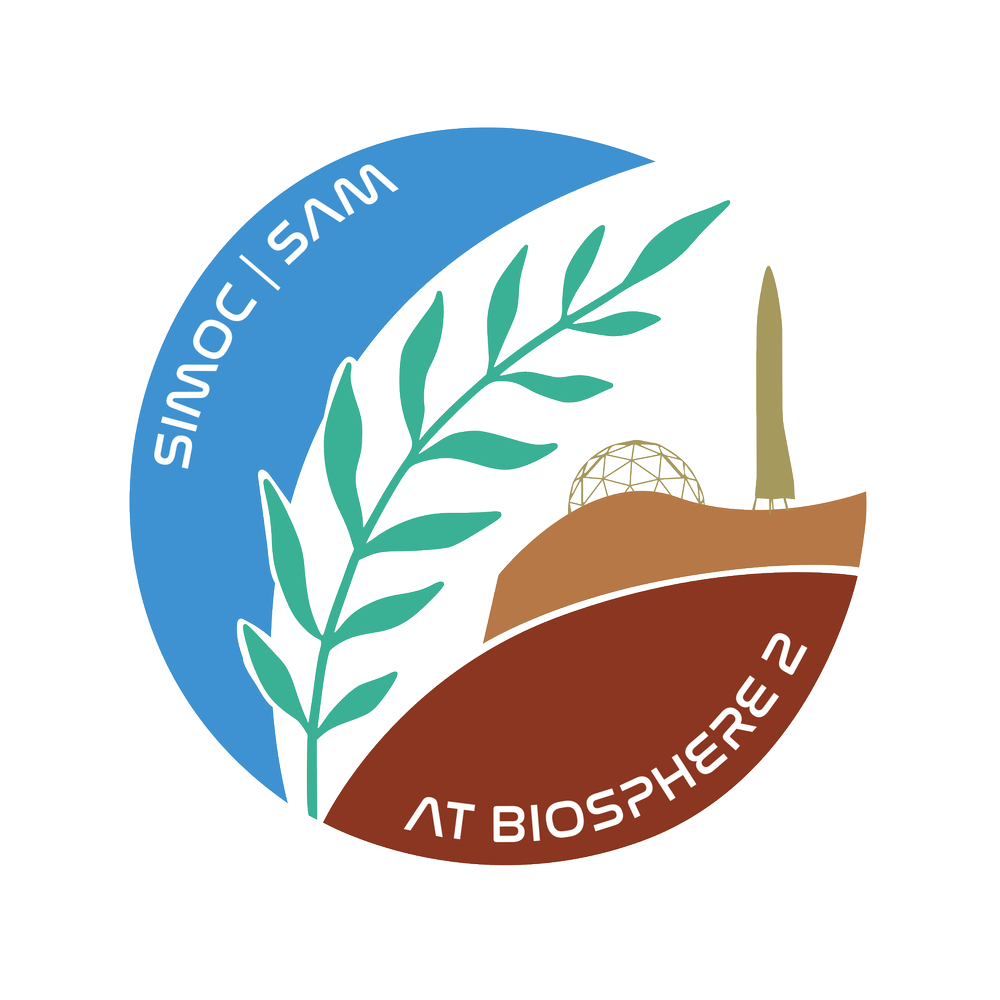 The World's Biggest Analog