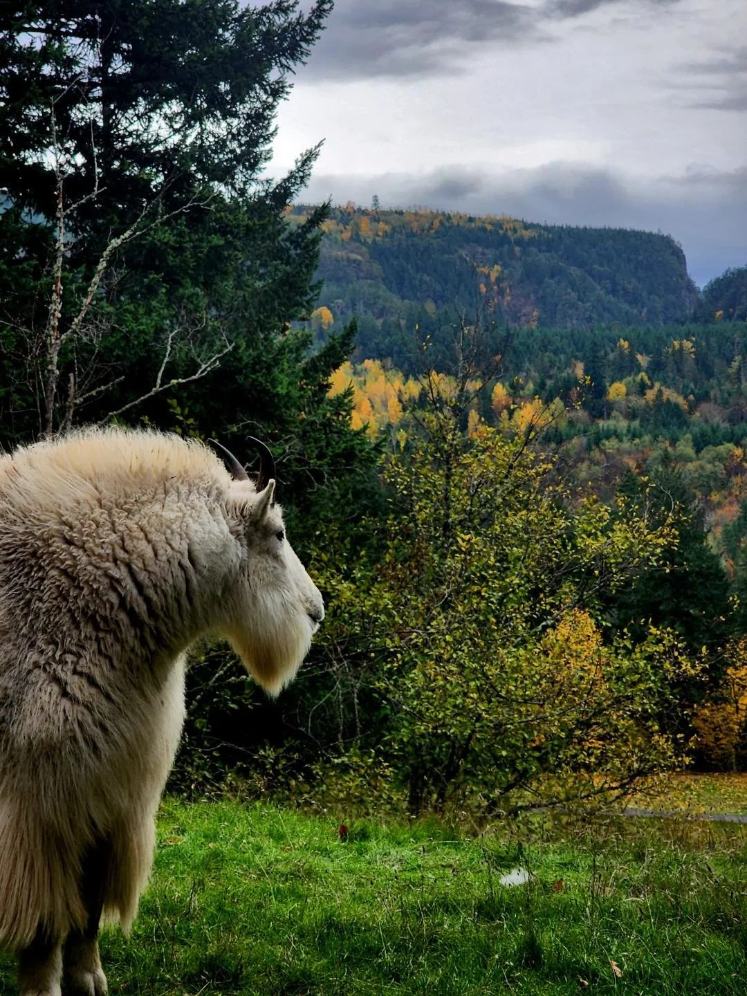 Donor Appreciation — Northwest Trek Foundation