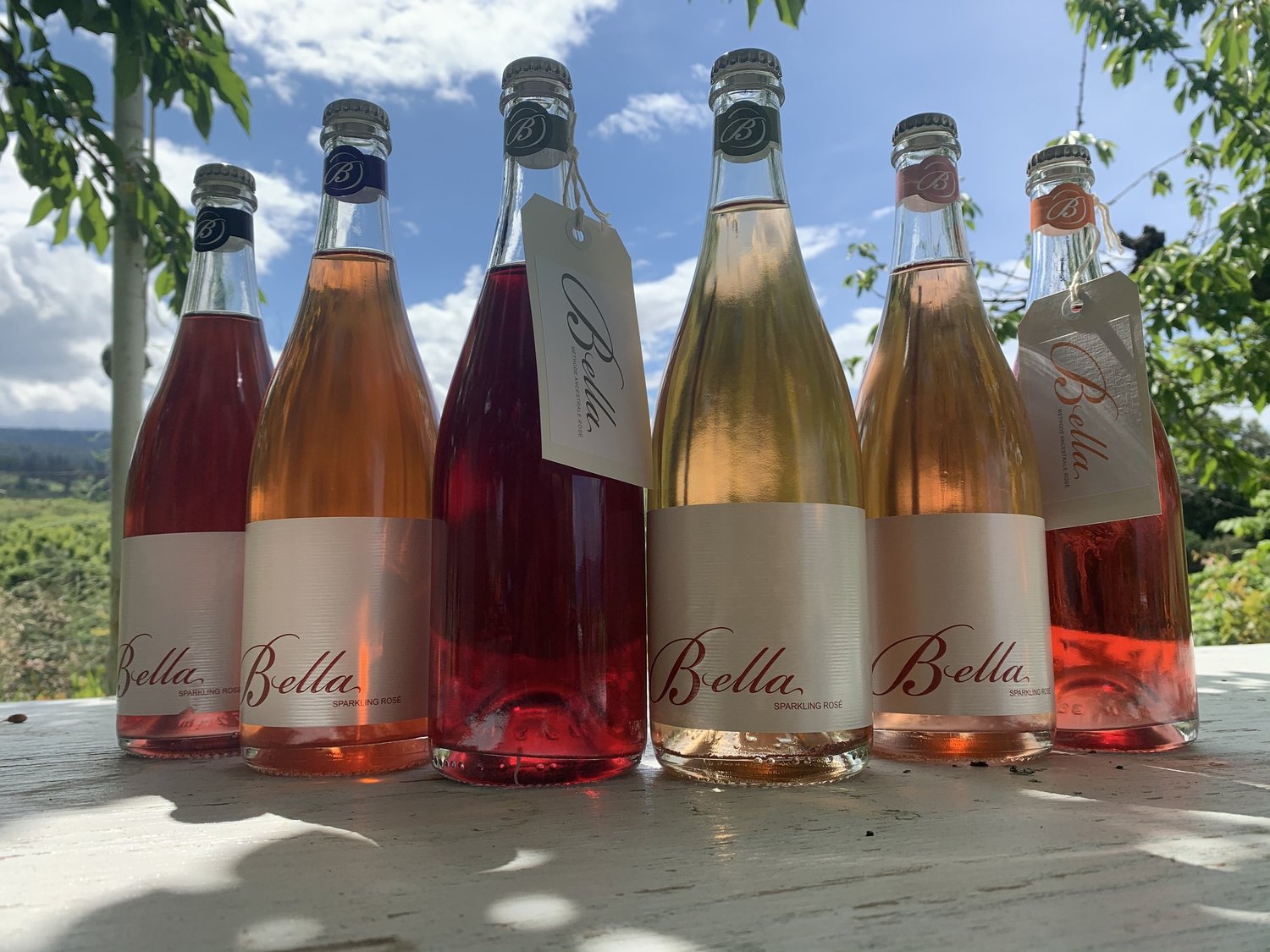 Bella | Experience Natural Bubbles – Celebrate Today