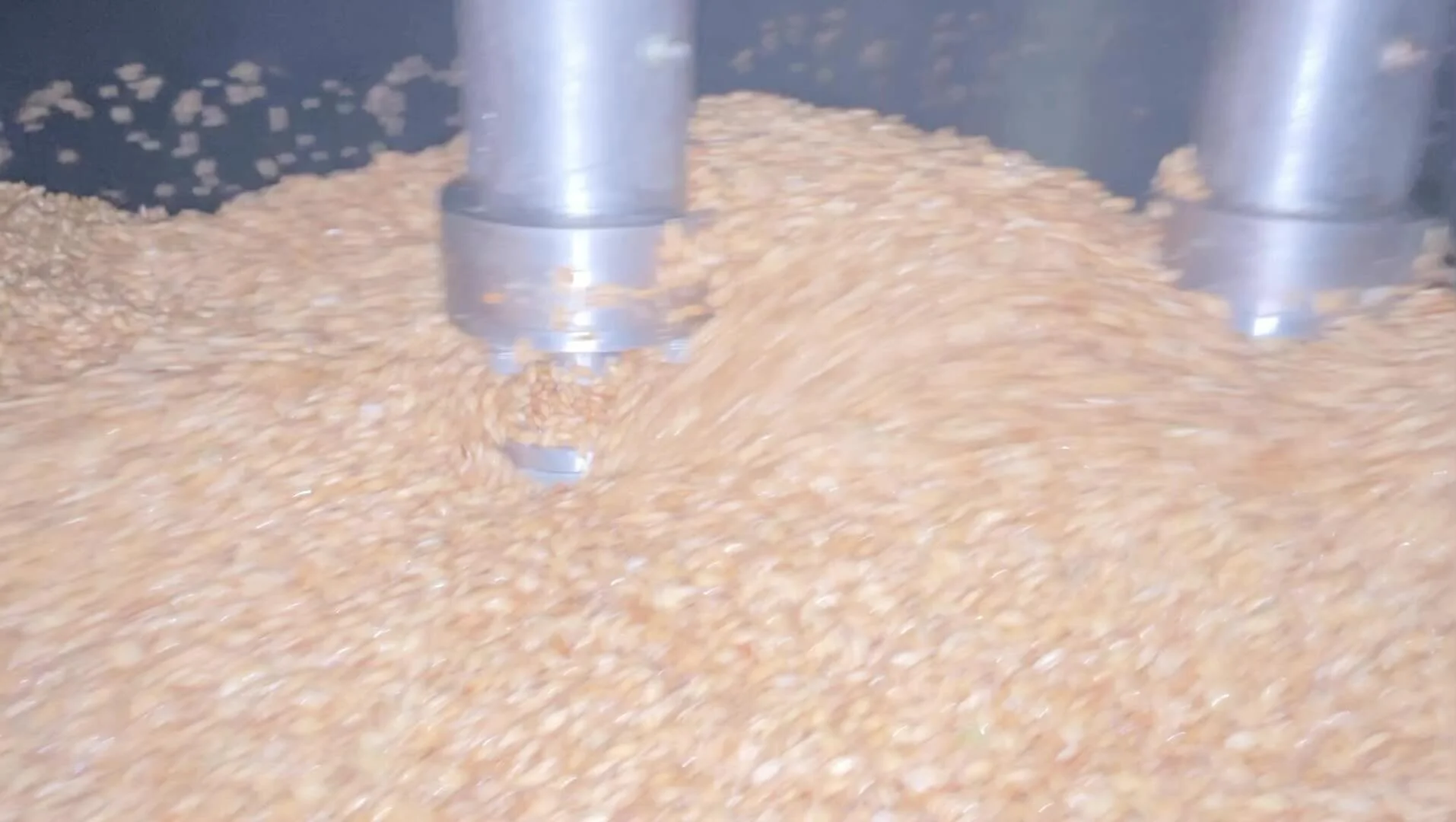 New York Craft Malt