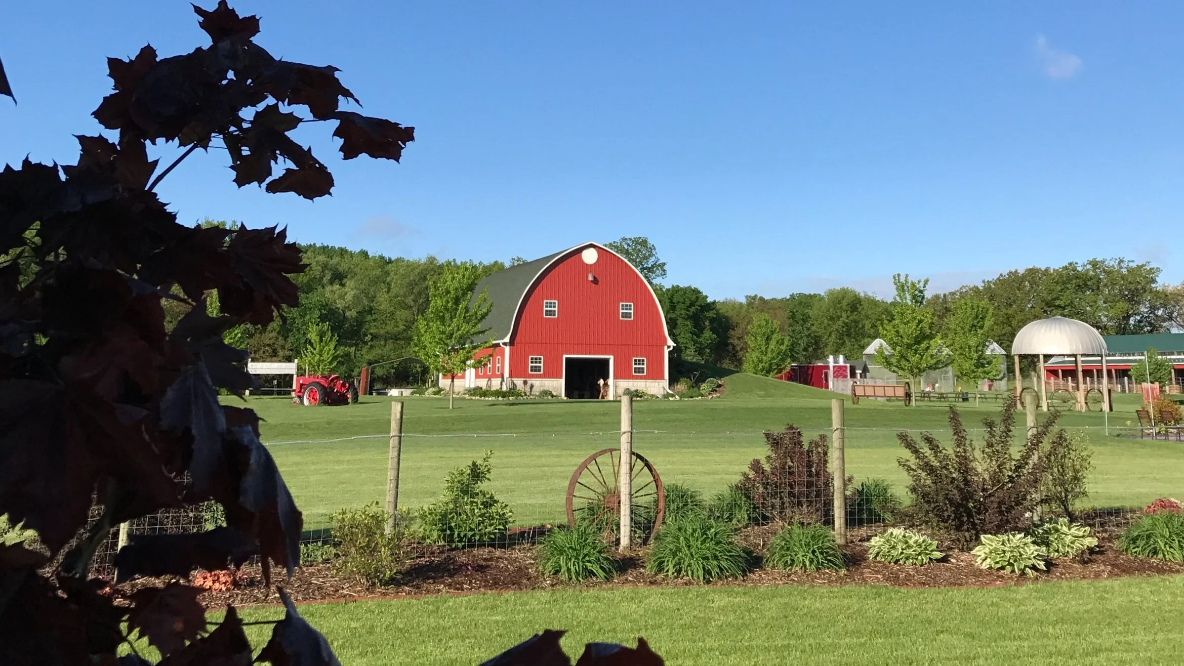 Seniors/Adults with Disabilities — Busy Barn Farm Adventures