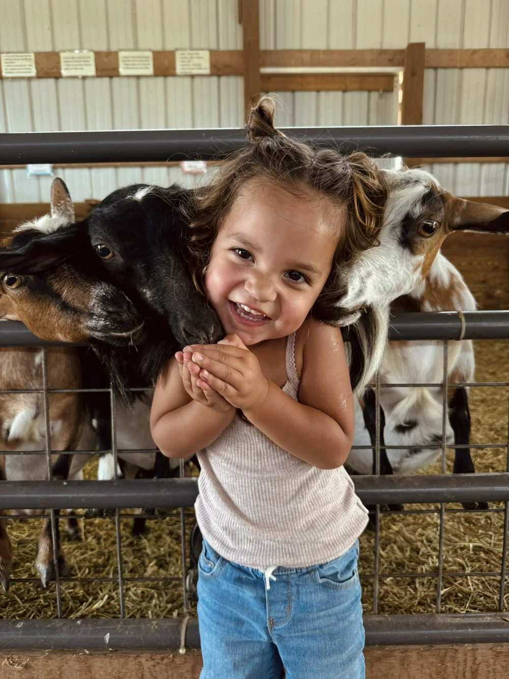 Busy Barn Farm Adventures