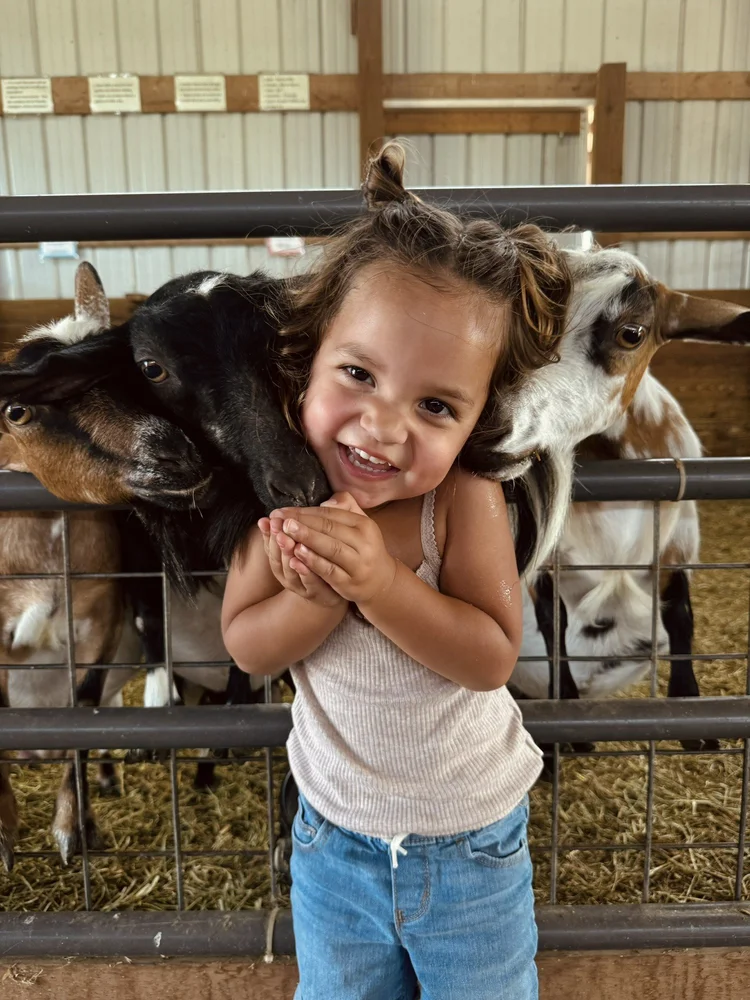 Busy Barn Farm Adventures