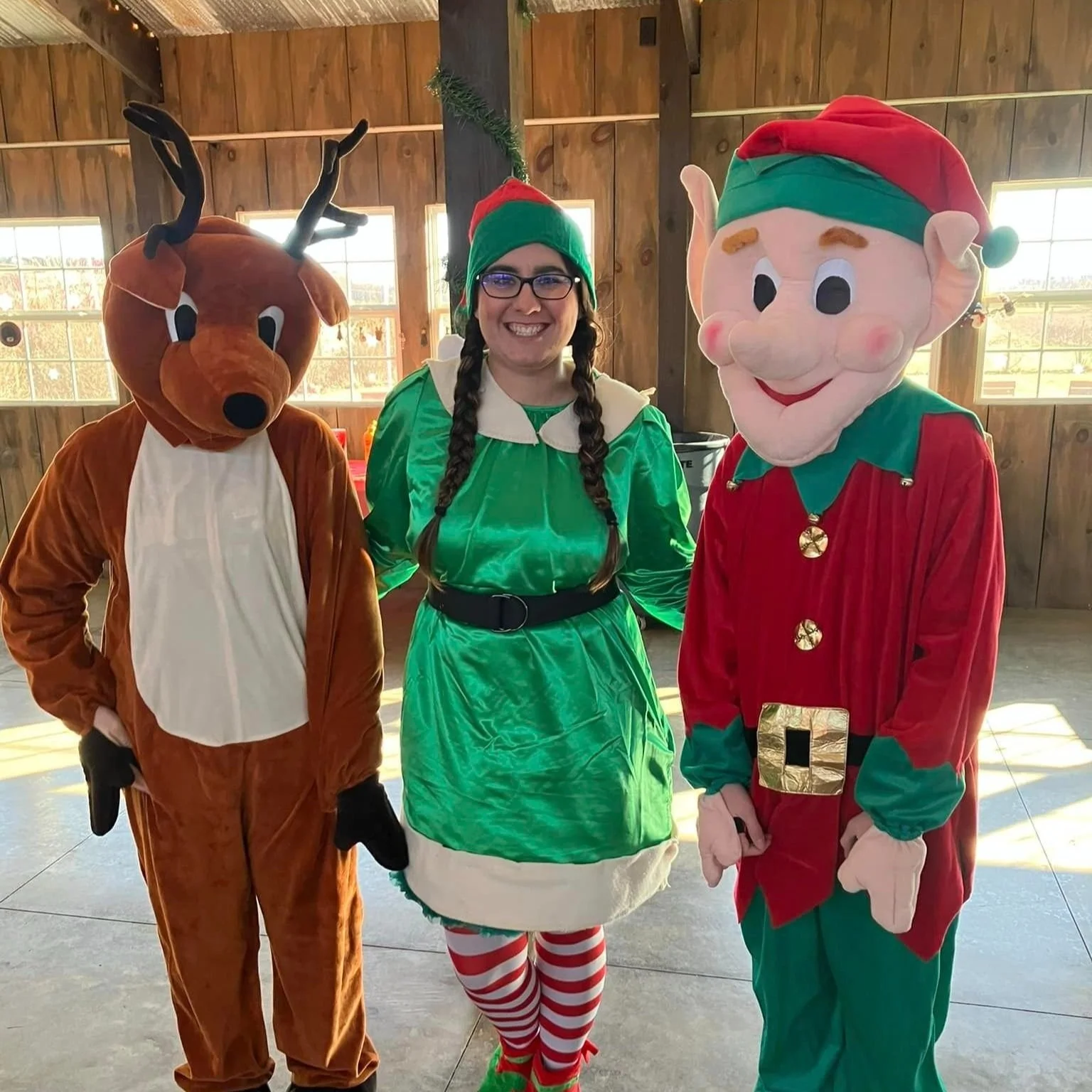 Christmas on the Farm — Busy Barn Farm Adventures