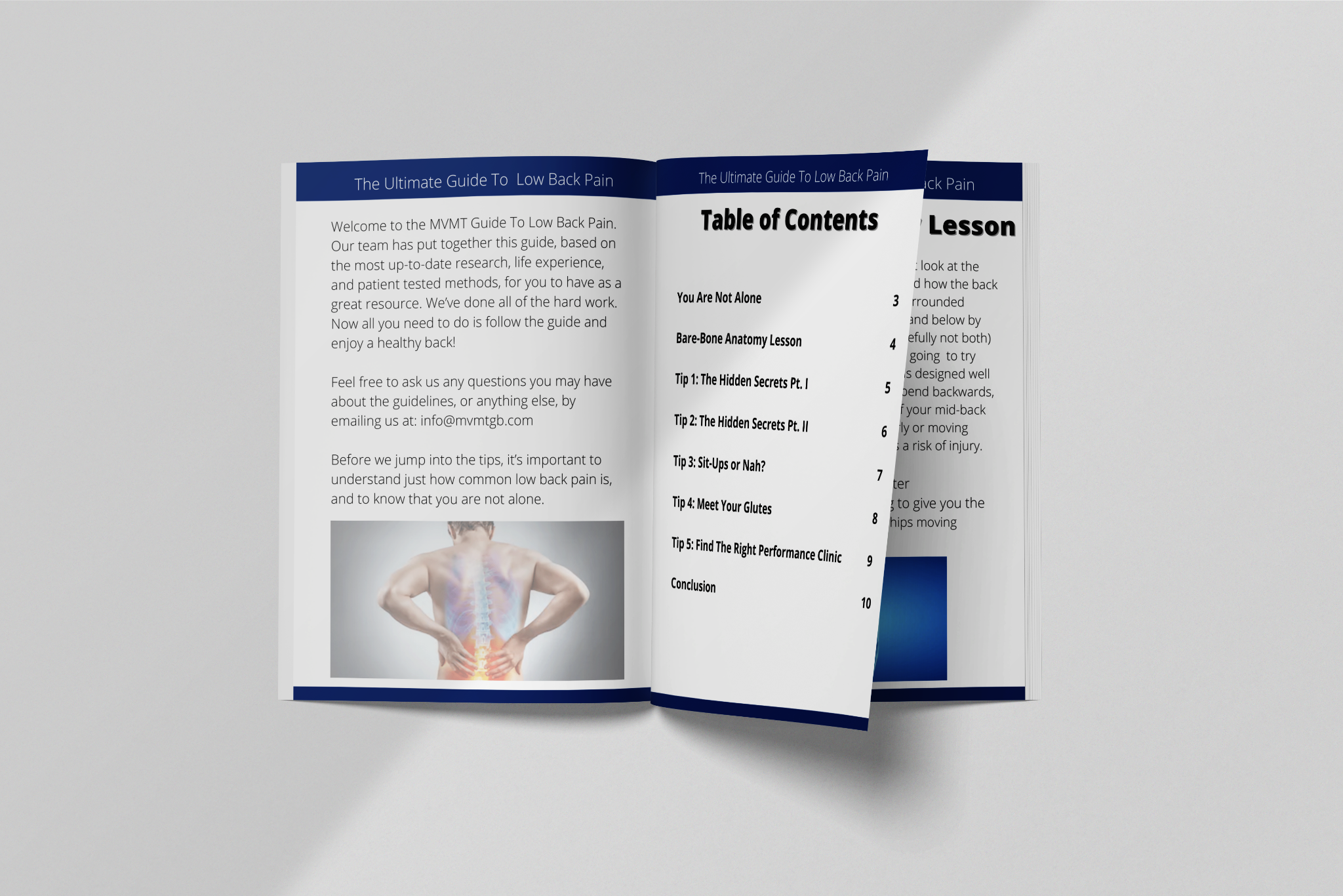 Low Back Pain Guidebook | Free Back Exercises — MVMT Performance & Rehab