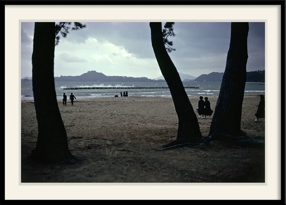 Seeing Gardens Sam Abell Photography