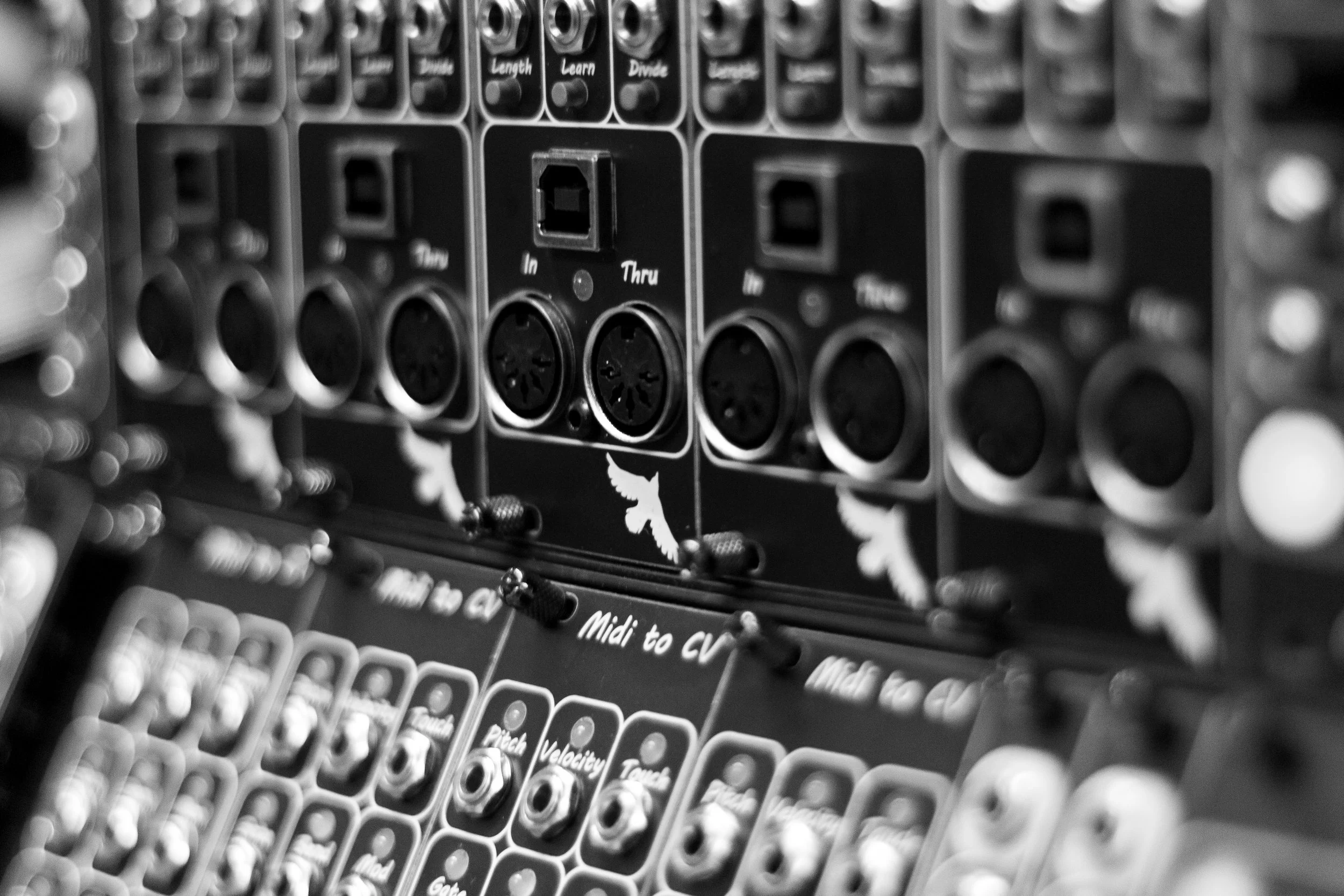 Mods, Parts, Designs, Synths & More Store! — Catherine North Electronics
