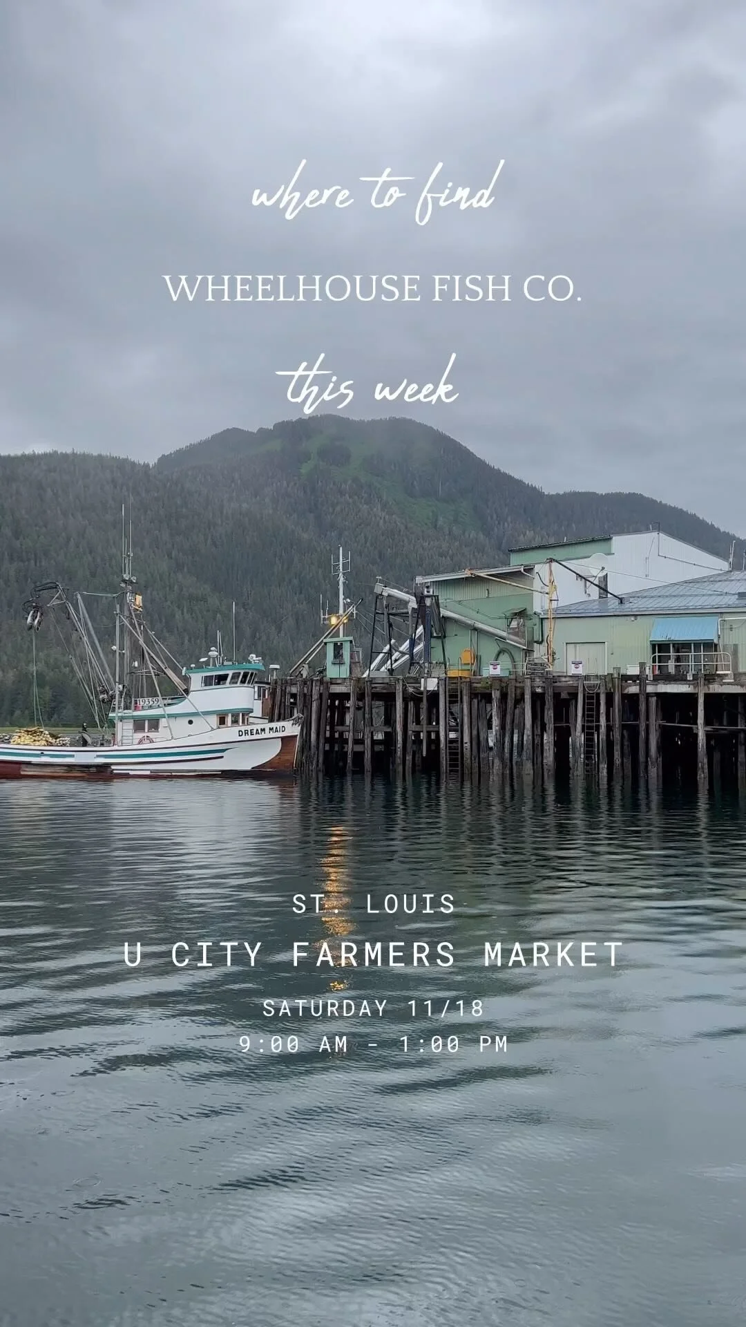 Wheelhouse Fish Co. // Wild Alaskan Seafood