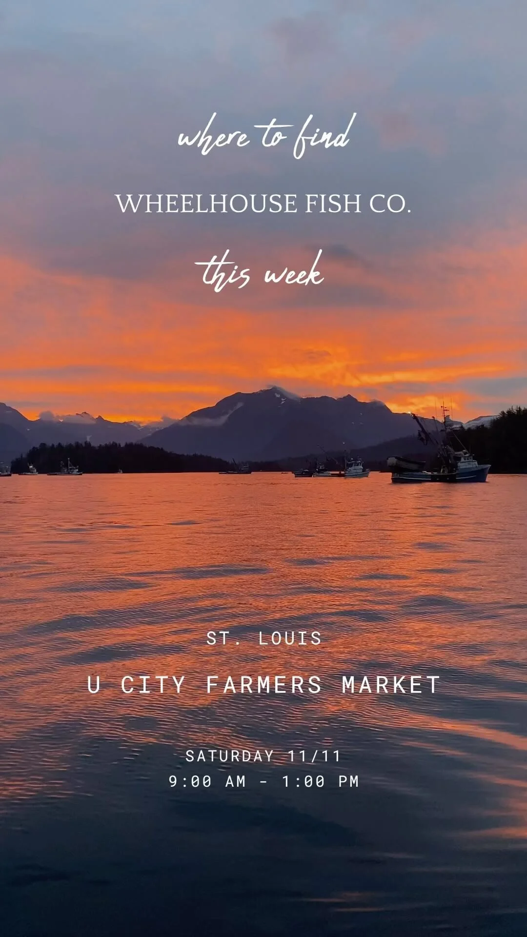 Wheelhouse Fish Co. // Wild Alaskan Seafood