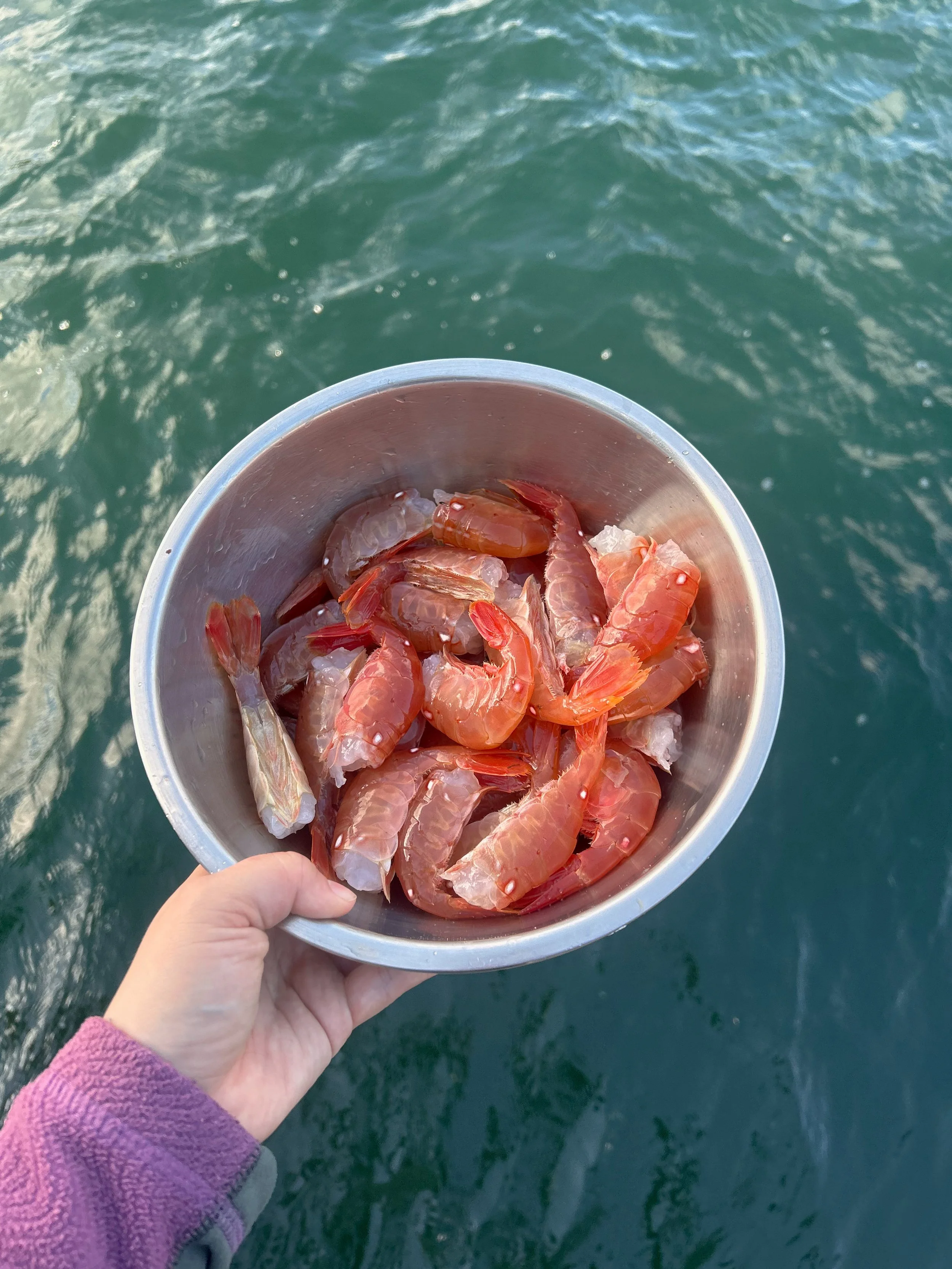 Wheelhouse Fish Co. // Wild Alaskan Seafood