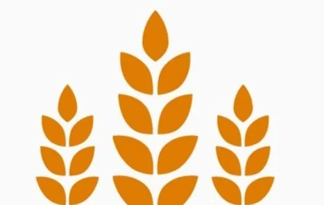 Senior Food Boxes (CSFP) — Feeding Louisiana