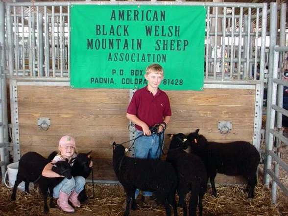 Resources/How To — American Black Welsh Mountain Sheep Association