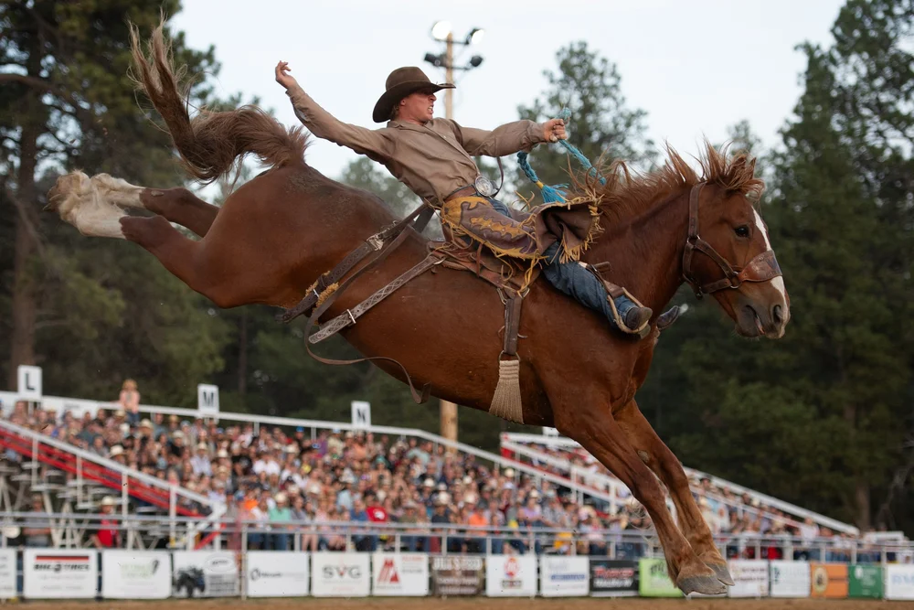 Elizabeth Stampede Rodeo Association | PRCA Rodeo