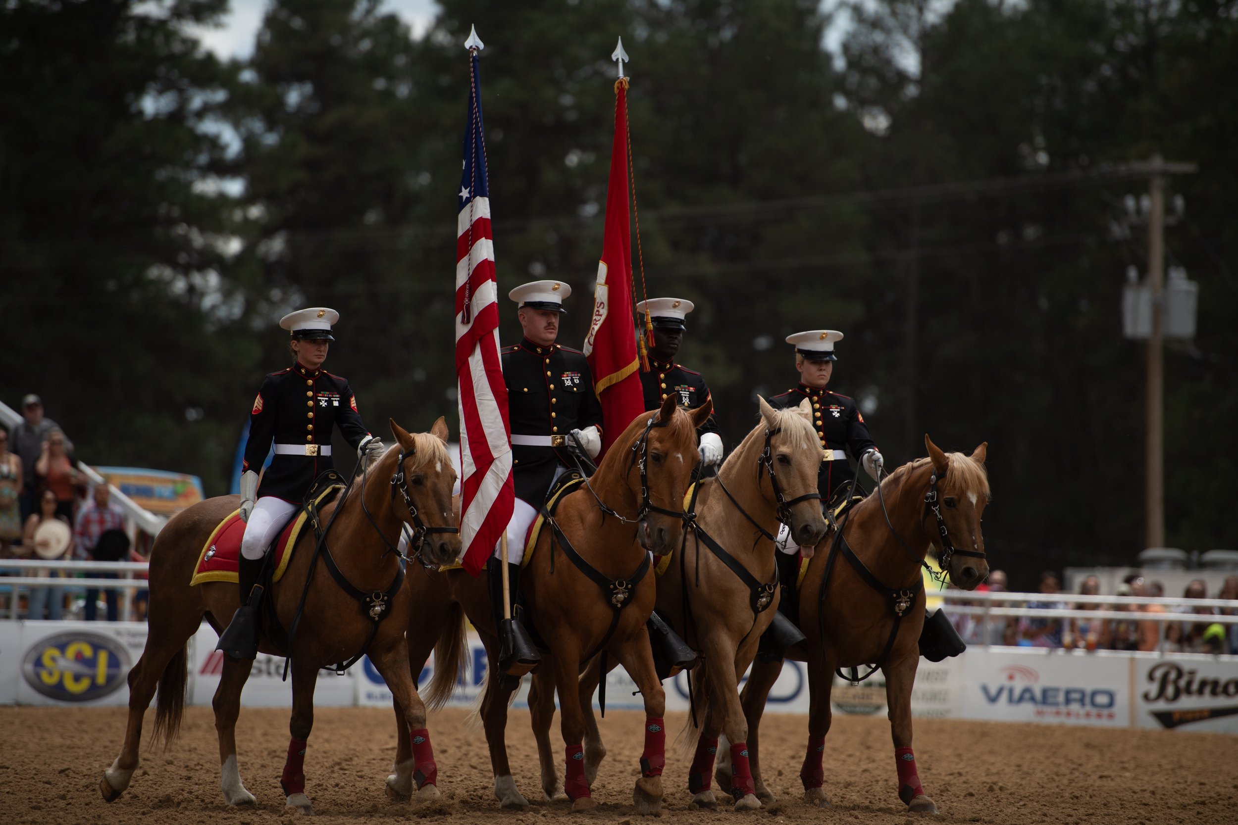 Elizabeth Stampede Rodeo Association | PRCA Rodeo