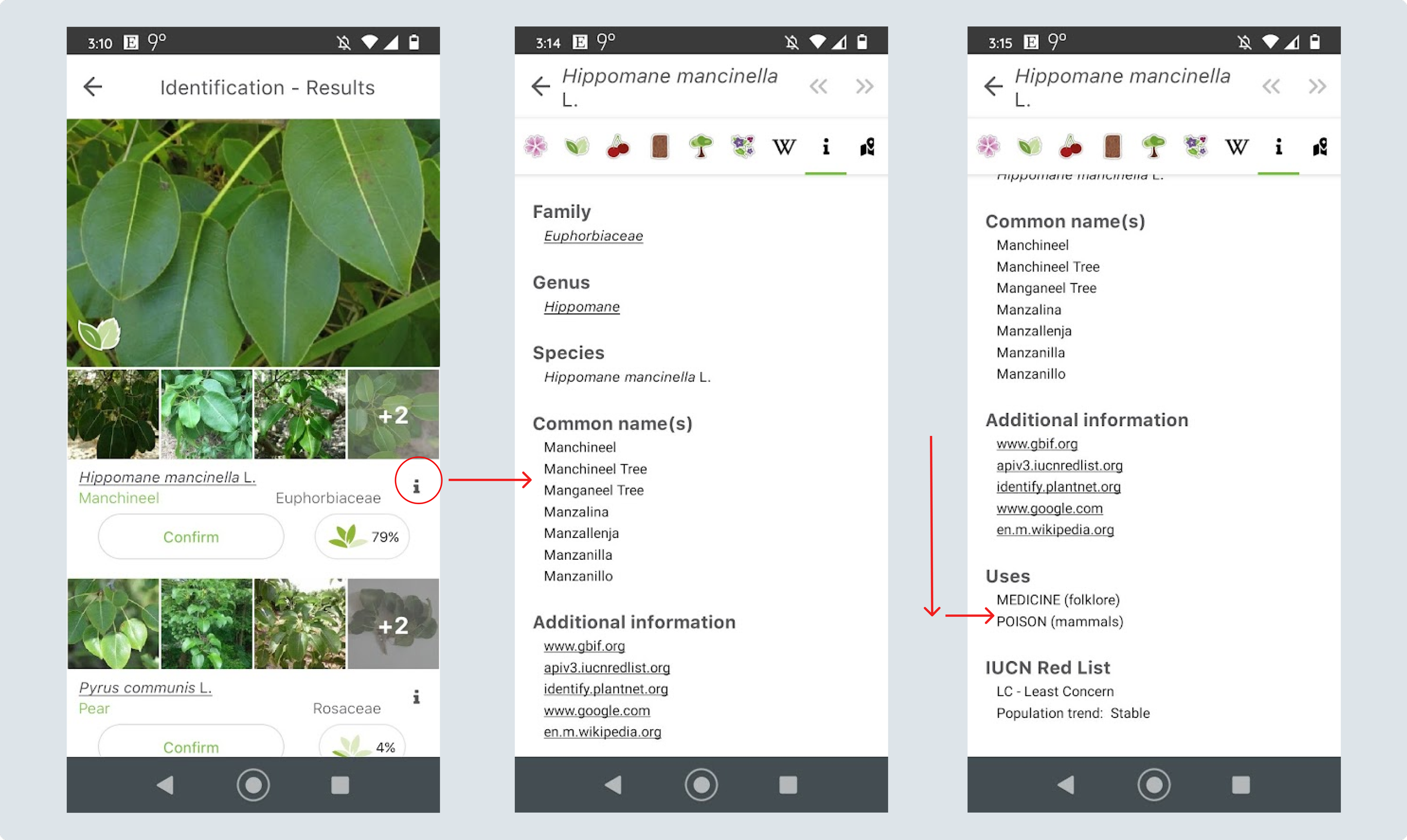 Pl@ntNet — Jay Carr