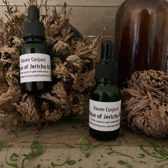 Rose of Jericho Oil — Raven Conjure