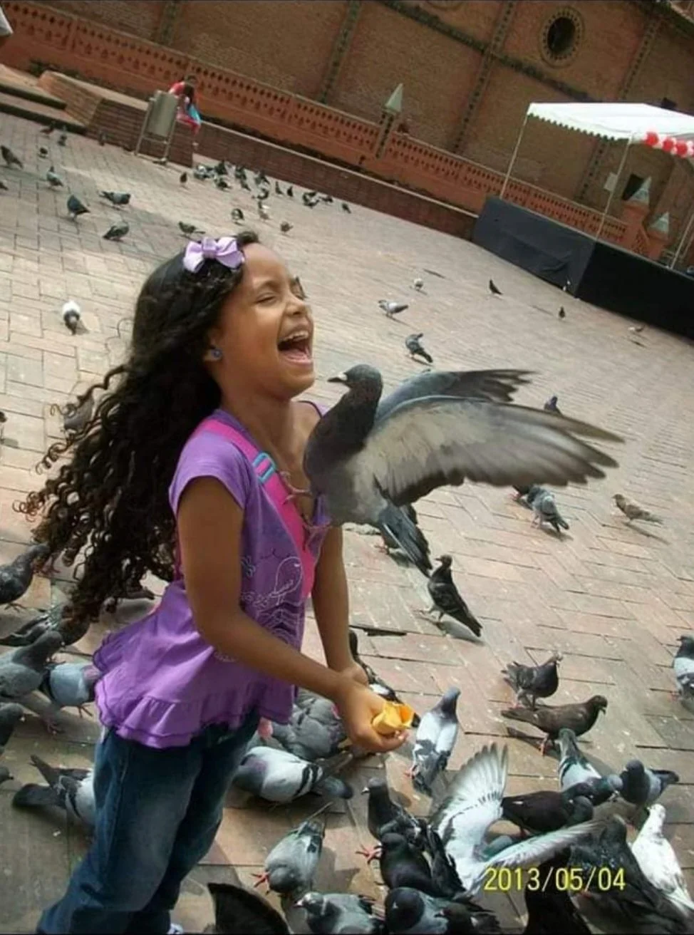 More than Meets the Eye — A Picture's Worth*