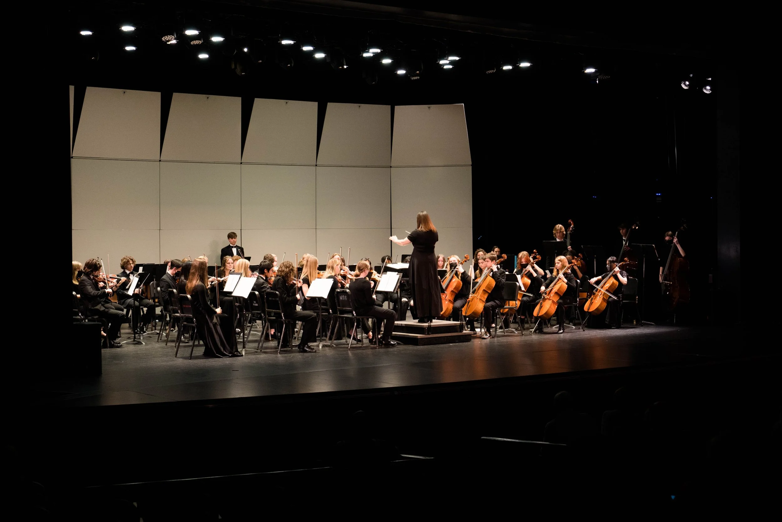 WILMINGTON SYMPHONY ORCHESTRA | Explore & Attend