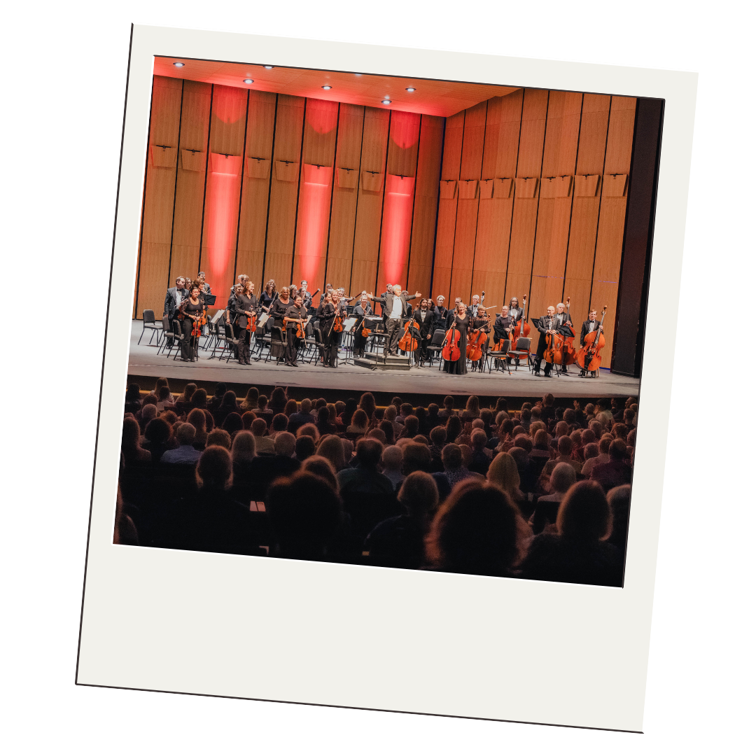 Steven Errante — WILMINGTON SYMPHONY ORCHESTRA