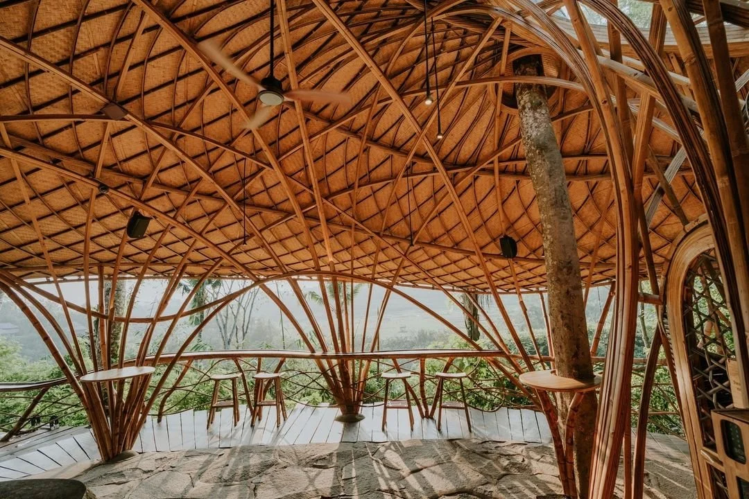 Breaking Bamboo Boundaries: Elora Hardy's Visionary Nature-led Designs Redefine Luxury — Asia ...