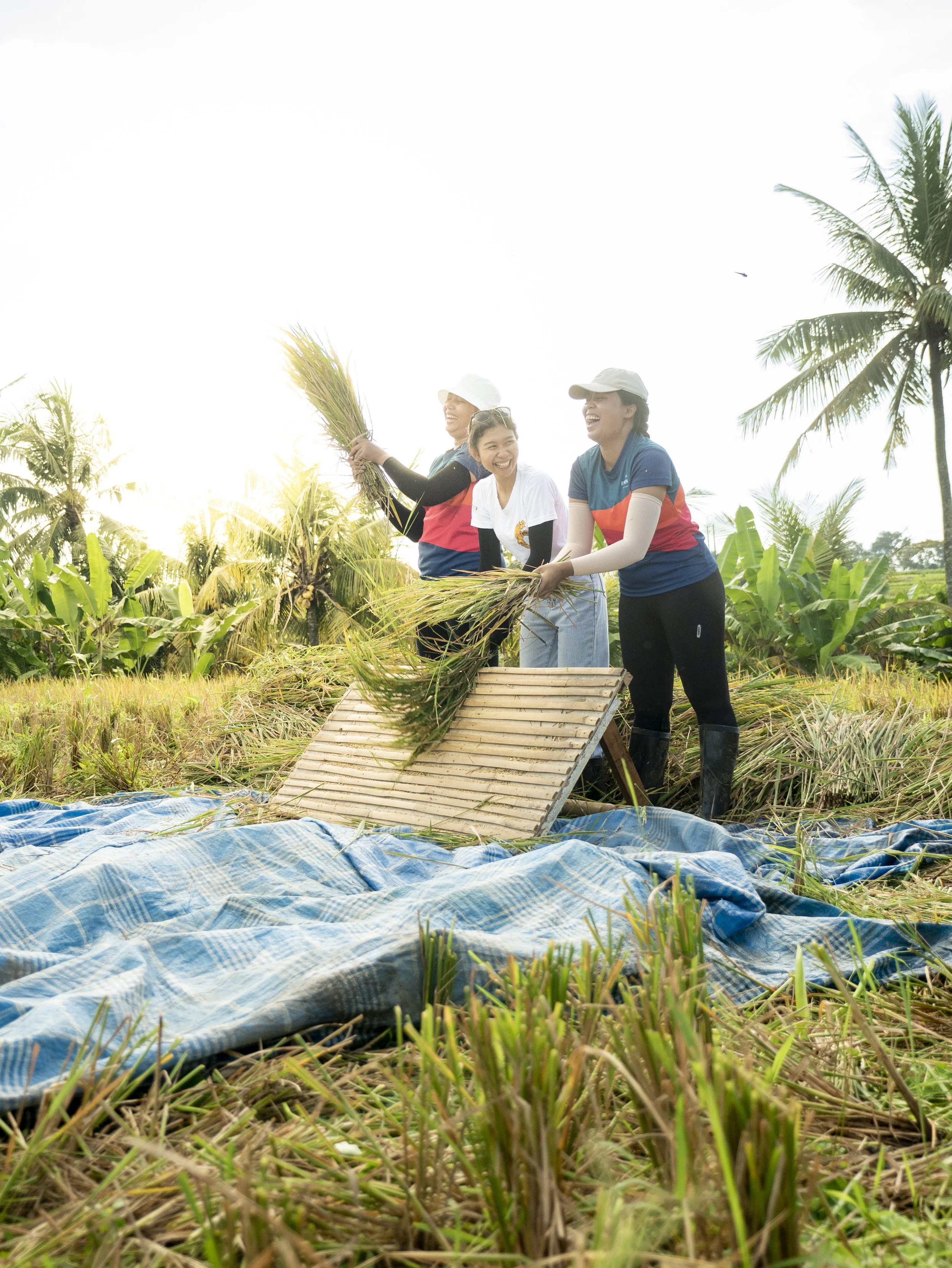 How Hotels in Asia Elevate Family Travel Experiences through Immersive ...